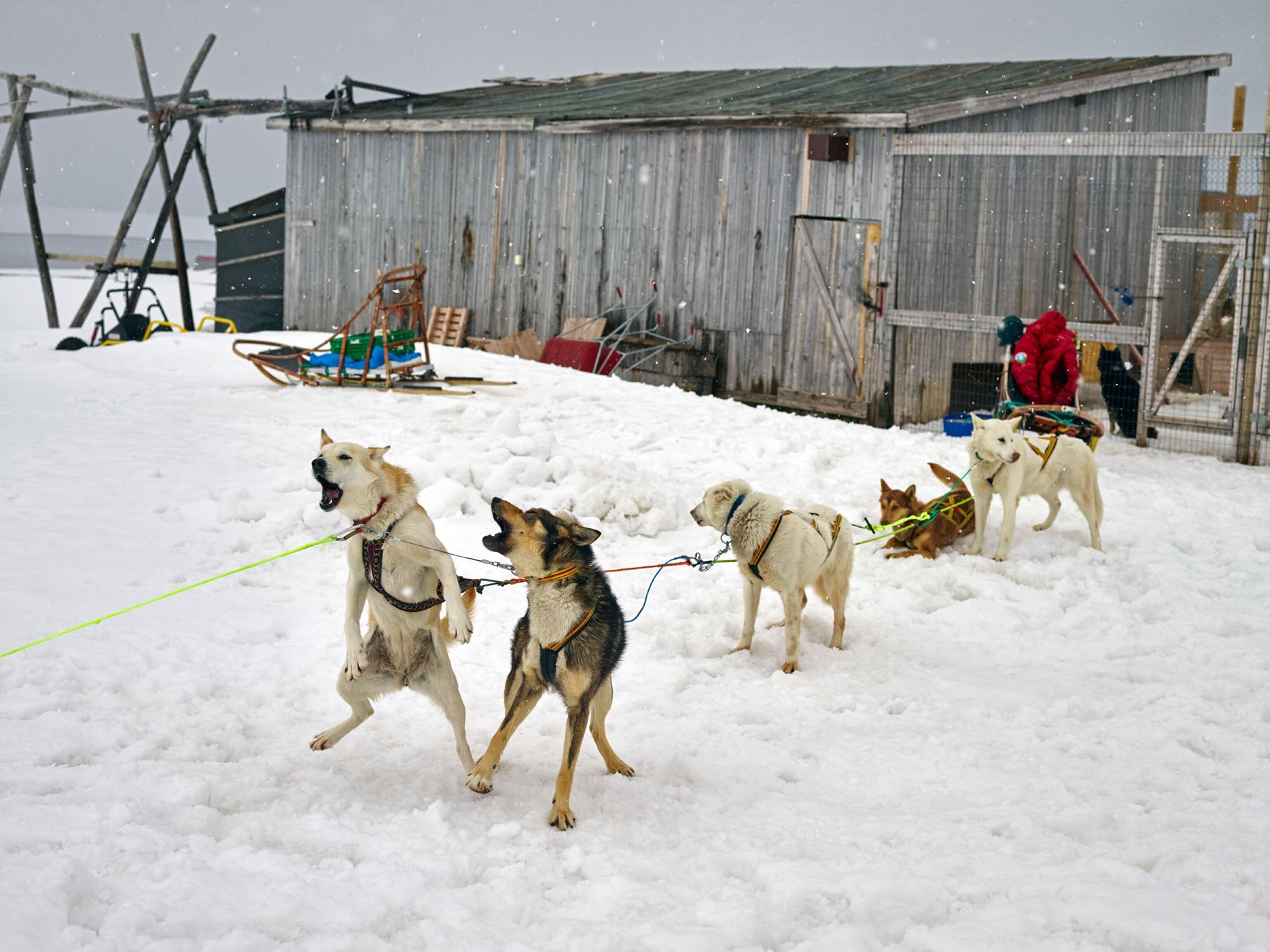 See inside Svalbard’s ice lab Ny-Ålesund, the world’s northernmost ...