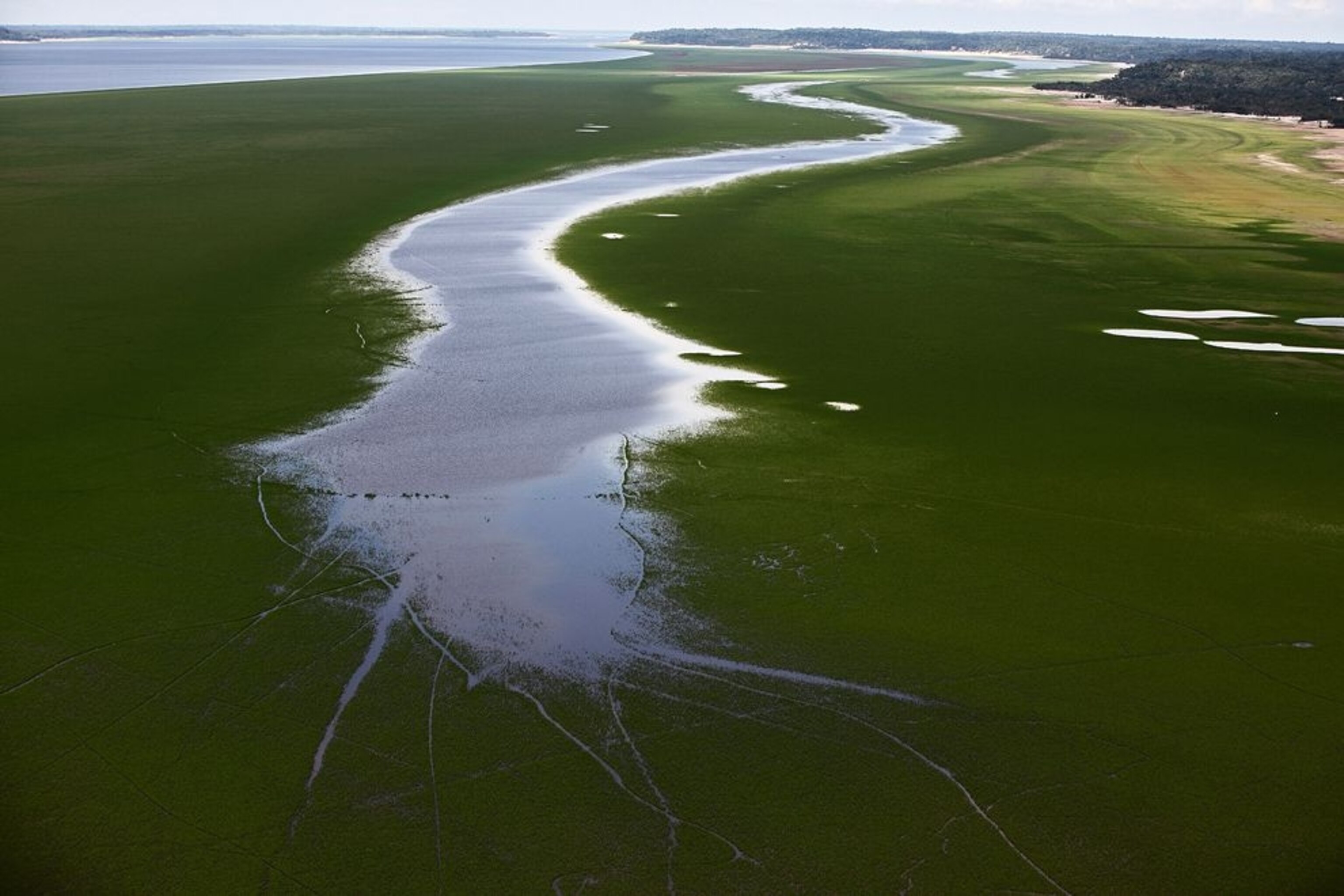 PHOTOS: "Alarming" Amazon Drought—River Hits New Low