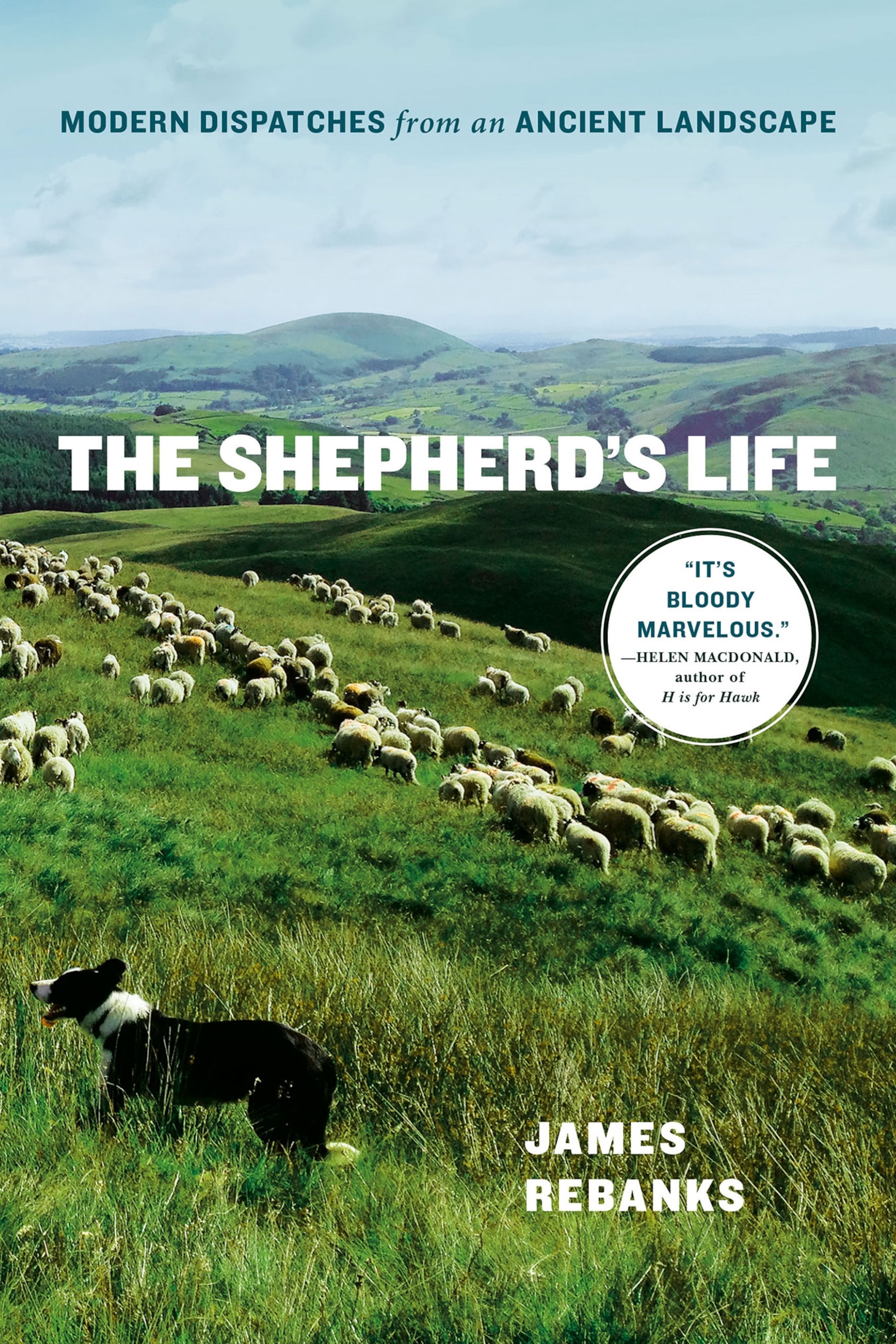 Why the Life of a Shepherd Has Value In Today’s World