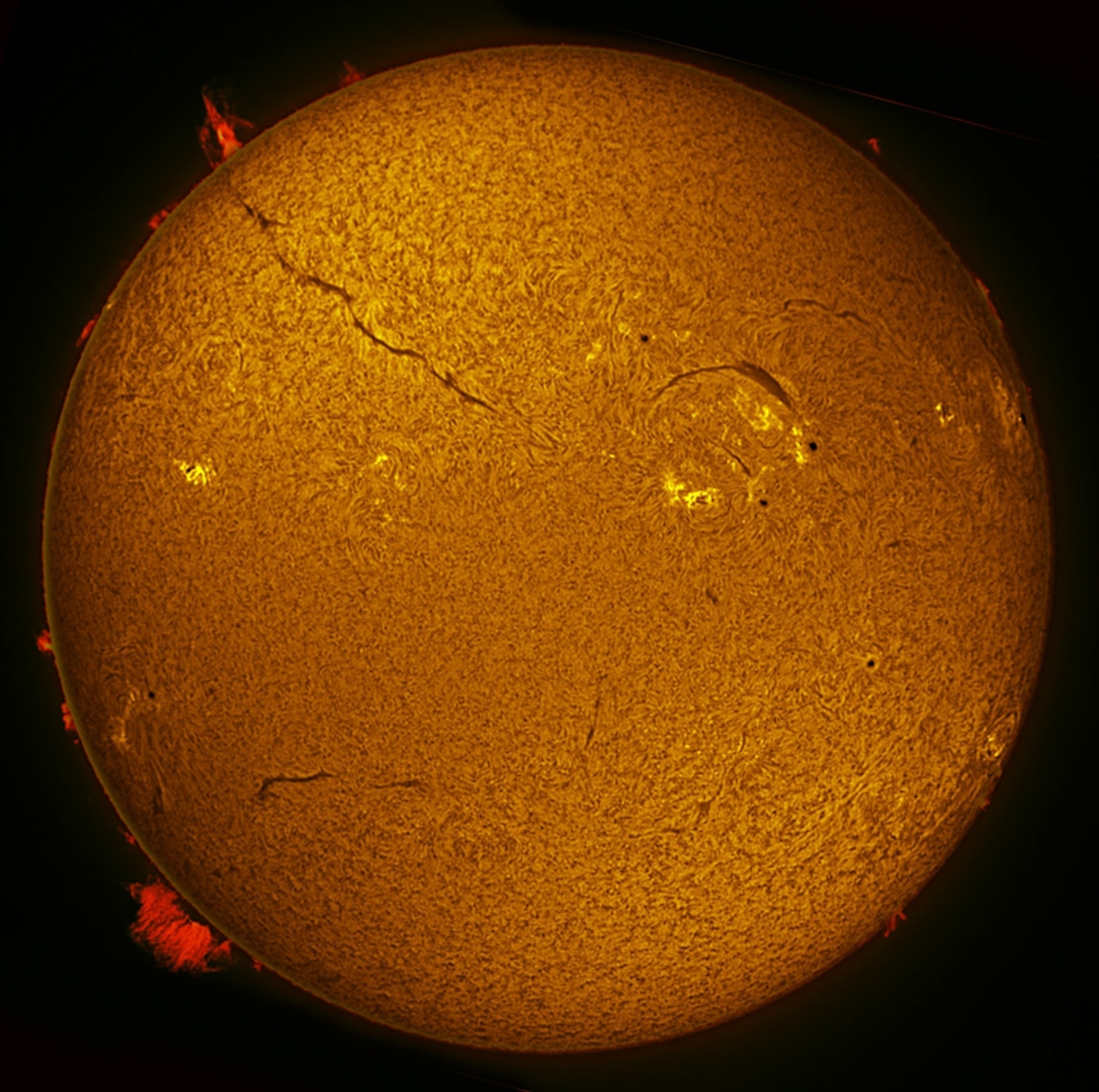 Pictures: Giant Walls of Plasma Seen on Sun | National Geographic