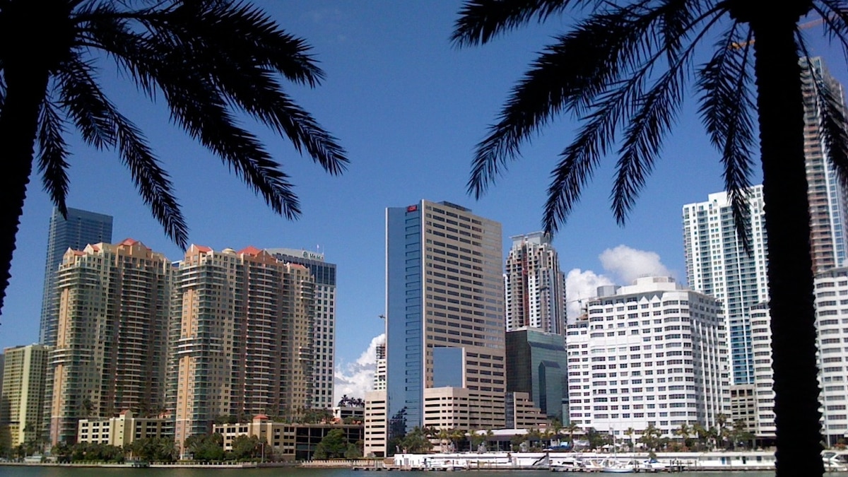 JD’s Miami | National Geographic