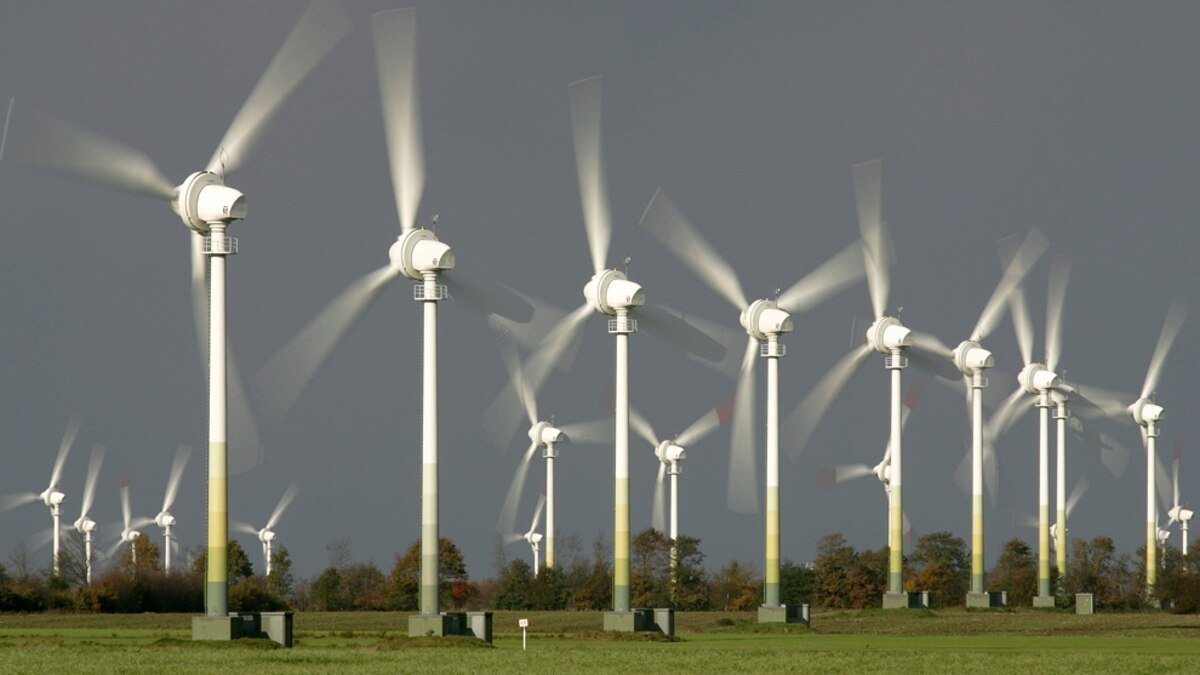 Frozen Fish Help Reel in Germany's Wind Power | National Geographic