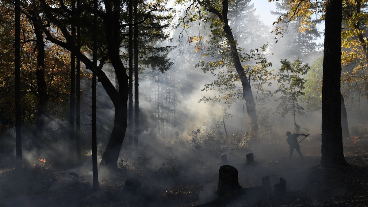 Episode 22: This indigenous practice fights fire with fire | National ...