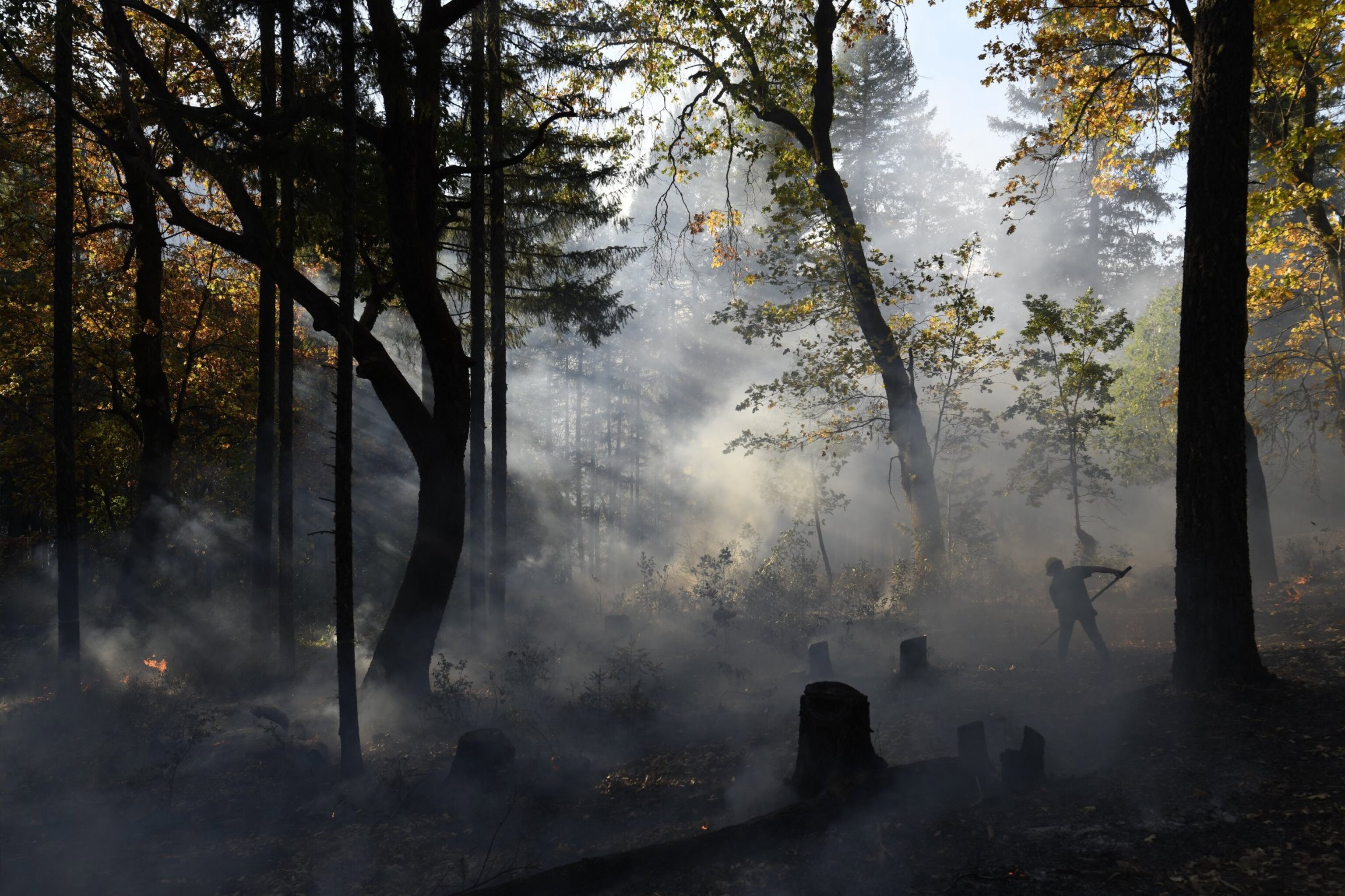 Episode 22: This indigenous practice fights fire with fire