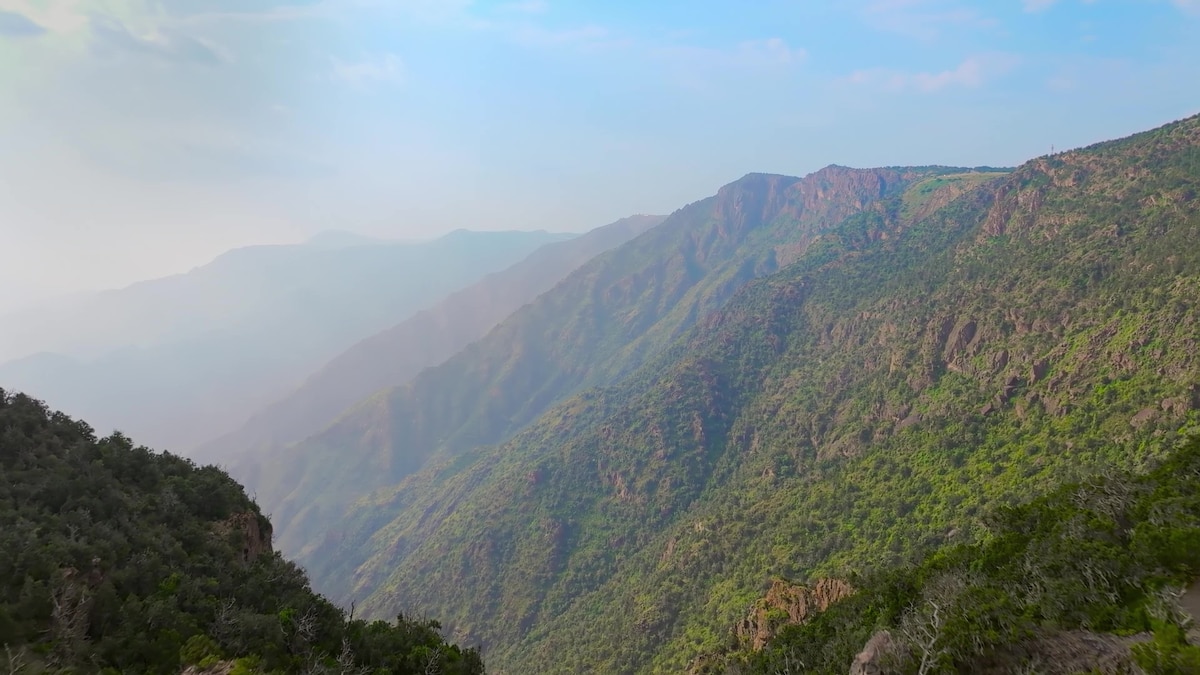 Enchanted Soudah: Nature in the clouds