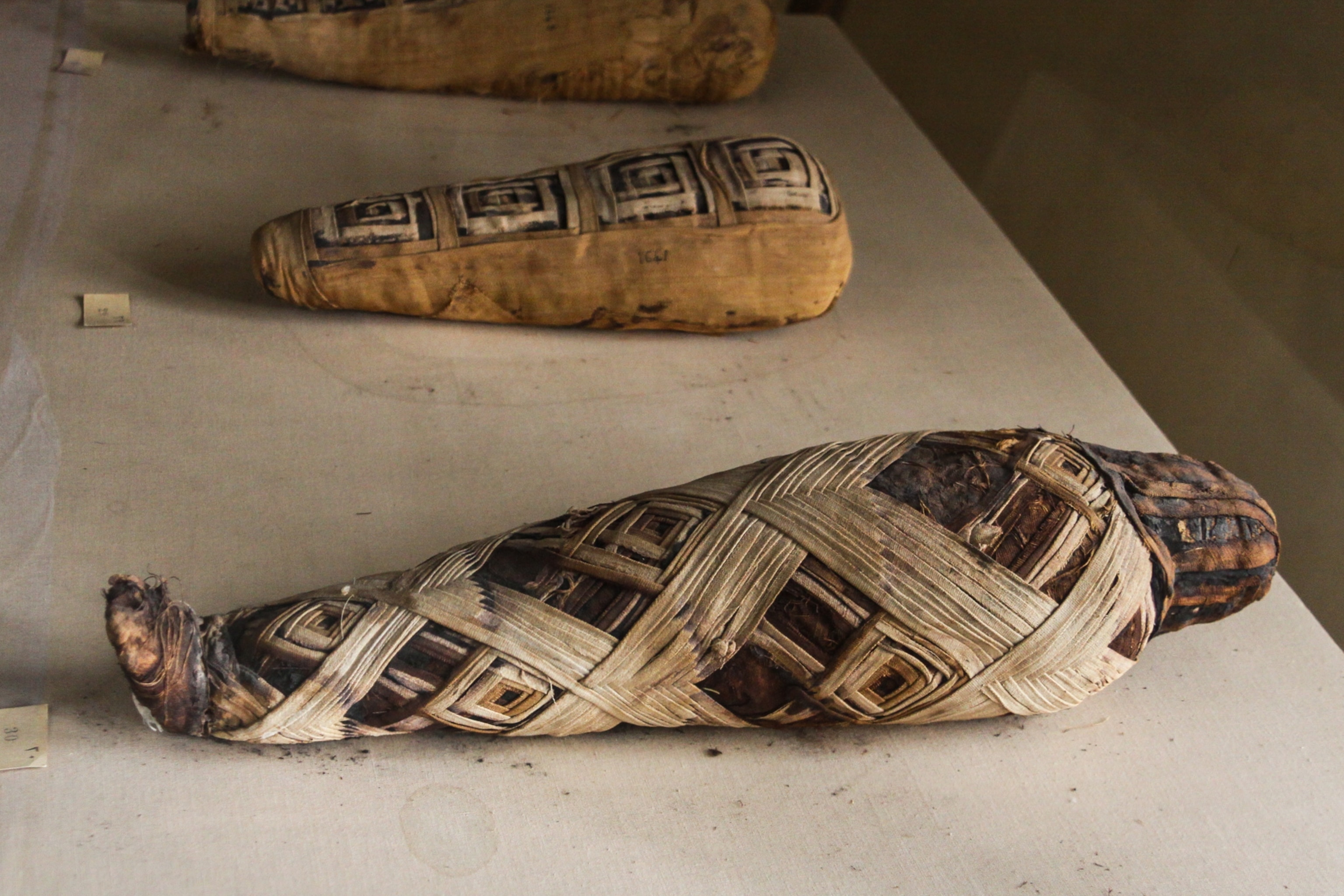 Pictures: Looters Shatter Museum of Ancient Egyptian Treasures