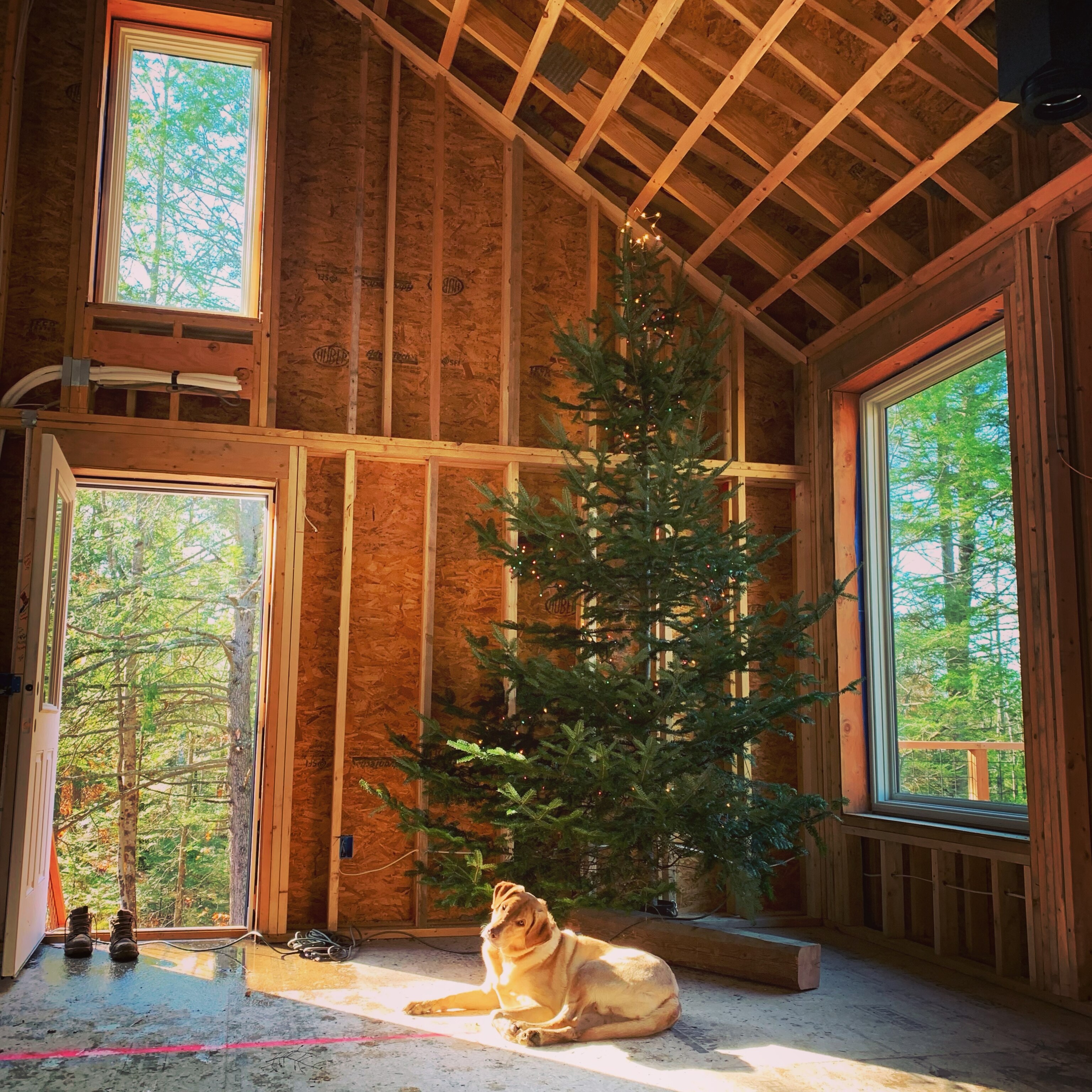 The everyday people making their homes climate-friendly