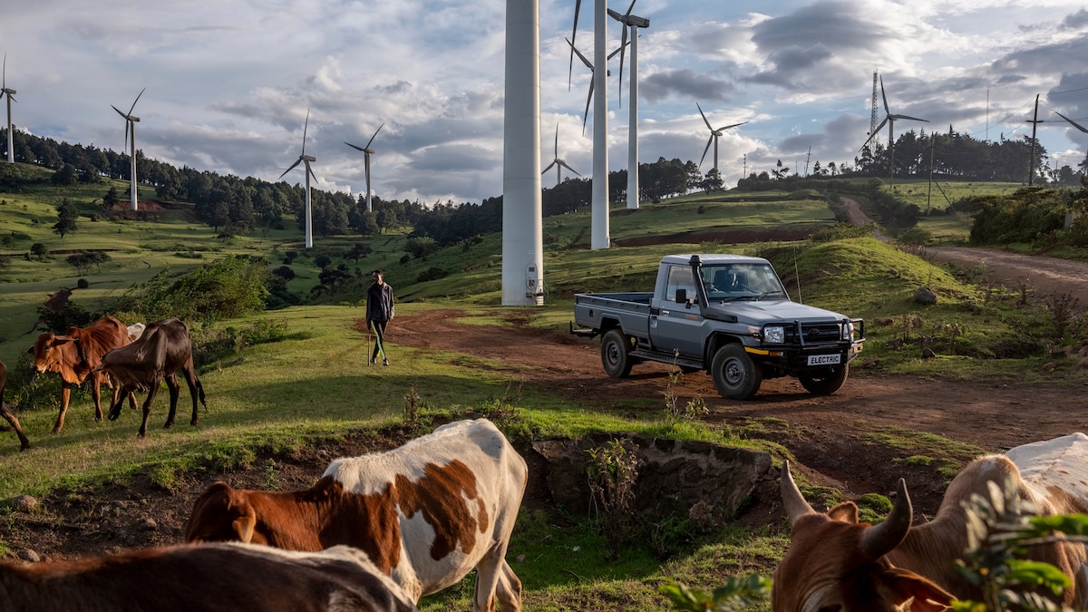5 environmental victories from 2021 that offer hope | National Geographic