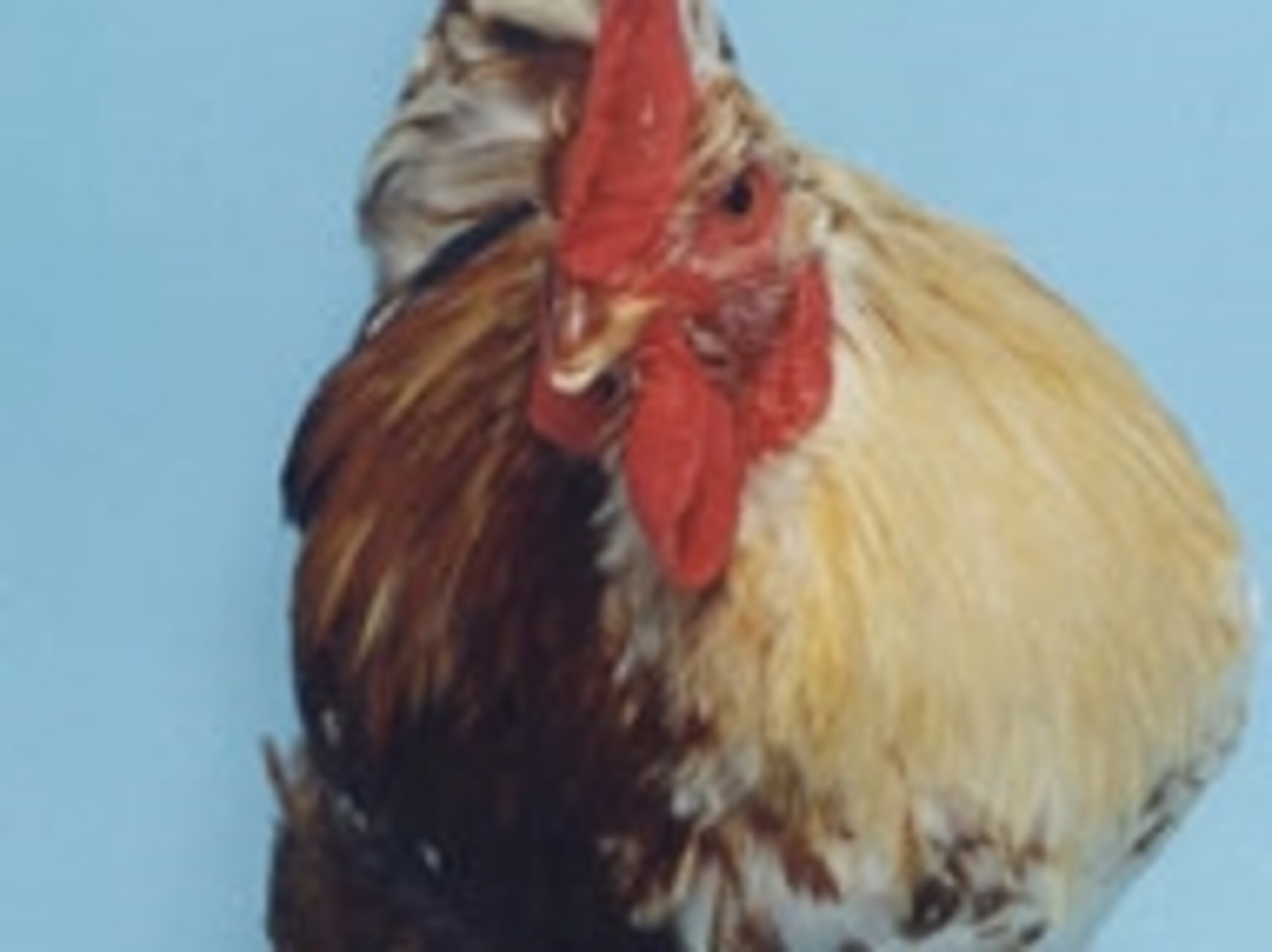 NERS Review of the Year Part 1 – the “They did what now?” edition