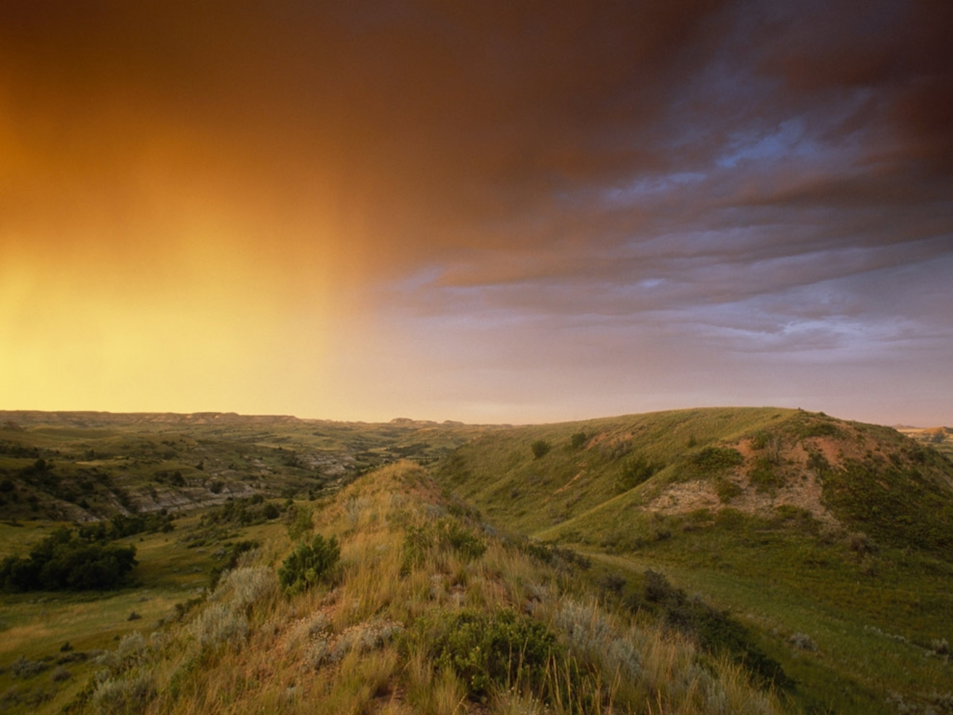 Photo Gallery: Grasslands, Prairies, and Savannas - National Geographic