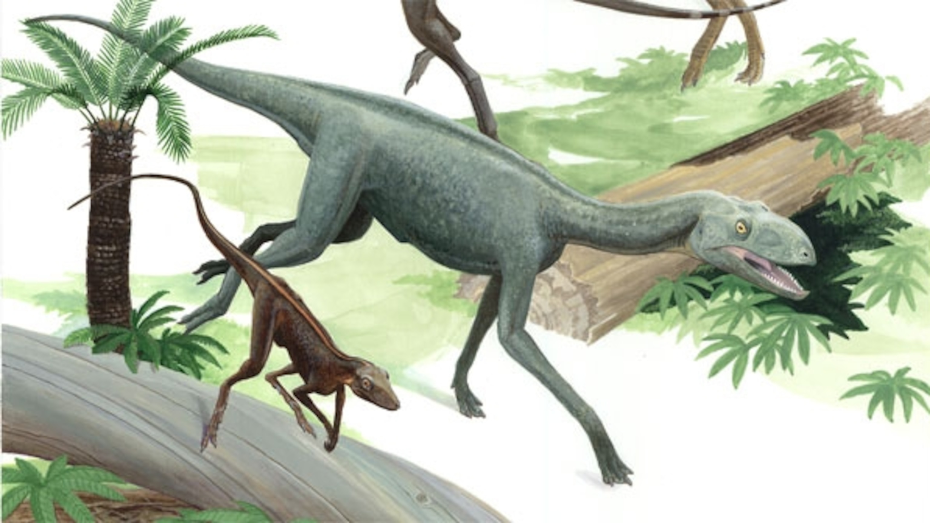 Walking with dinosaur ancestors – footprints put dinosaur-like beasts ...