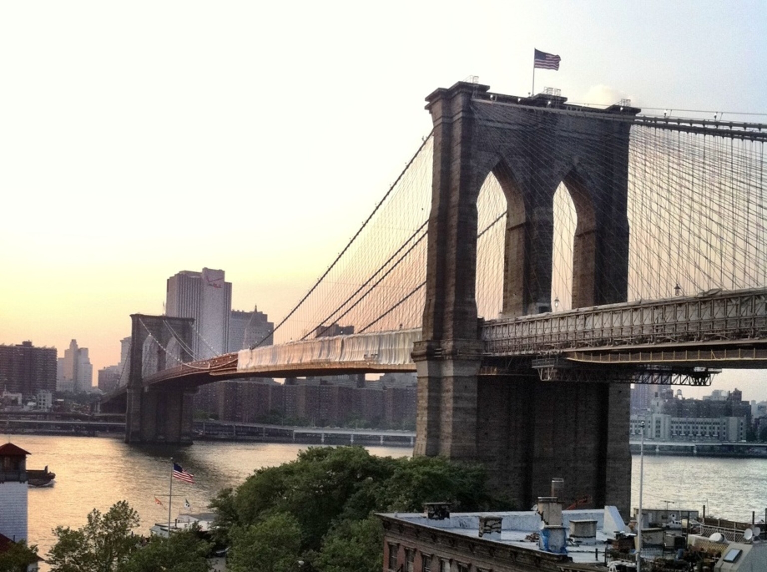 Annemarie’s Brooklyn | National Geographic