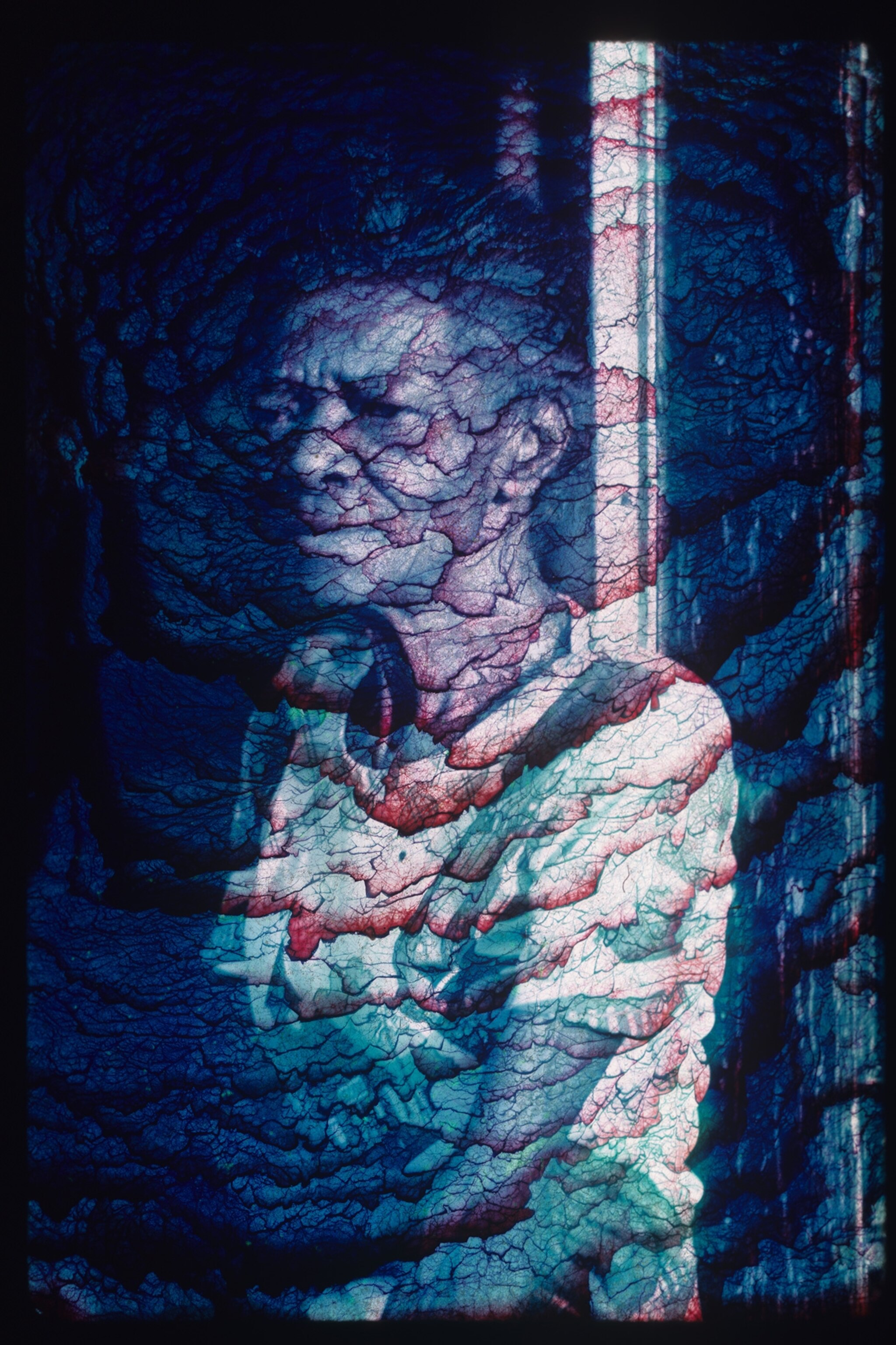 Warped and Waterlogged, a Damaged Photo Collection Takes on New Life