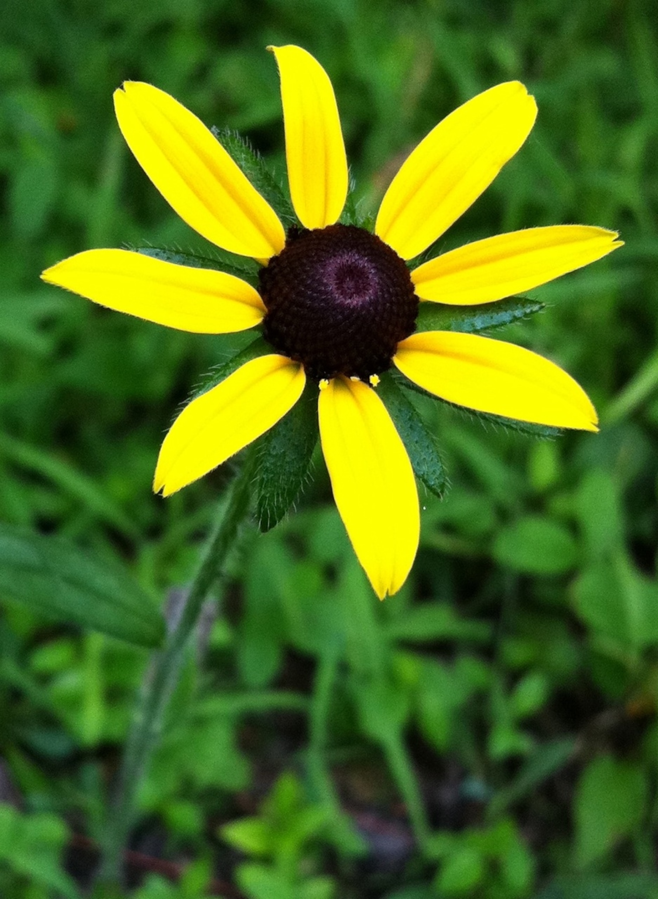 The Farm | National Geographic