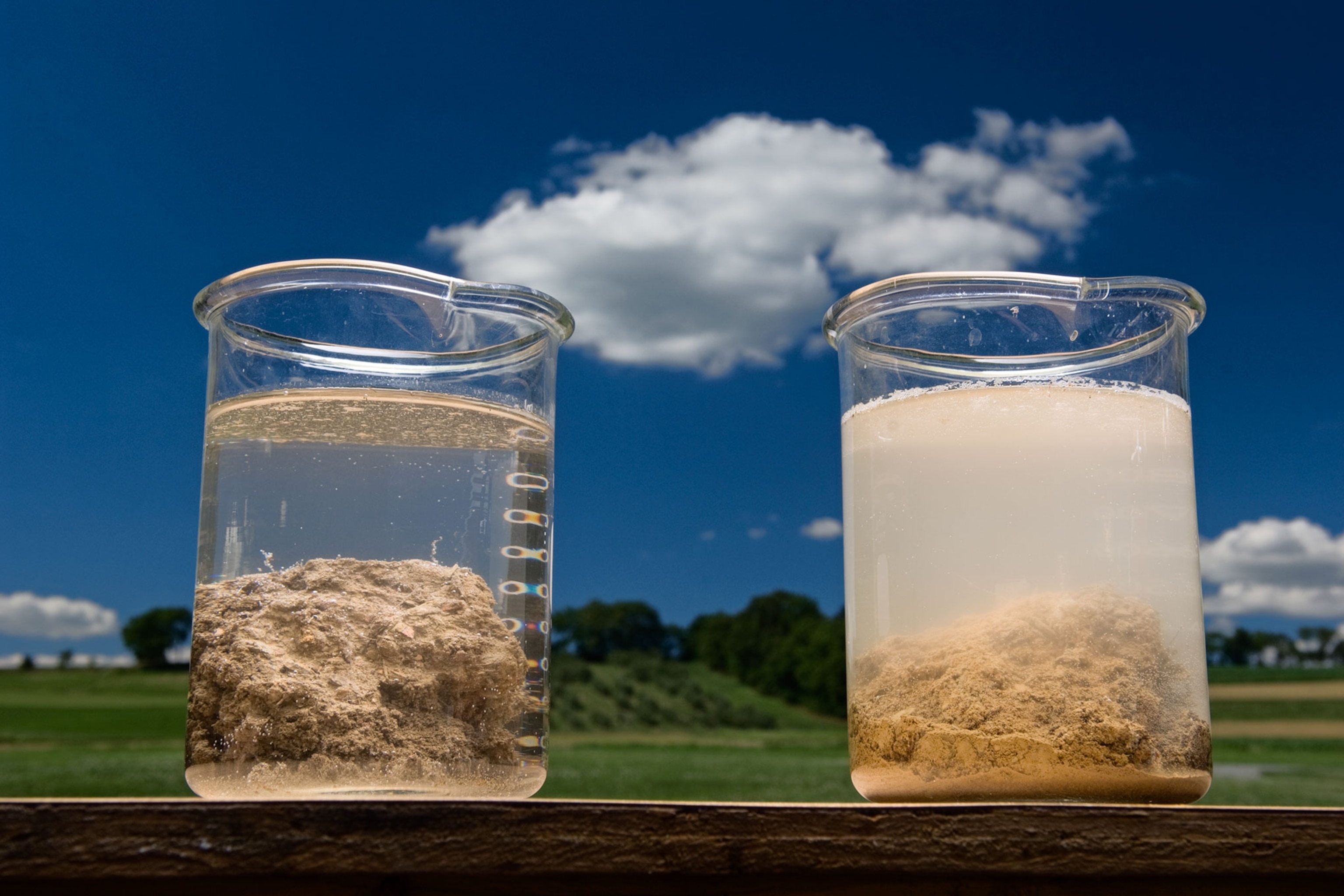 Tardigrades, Shrimp, and Other Extreme Life-Forms