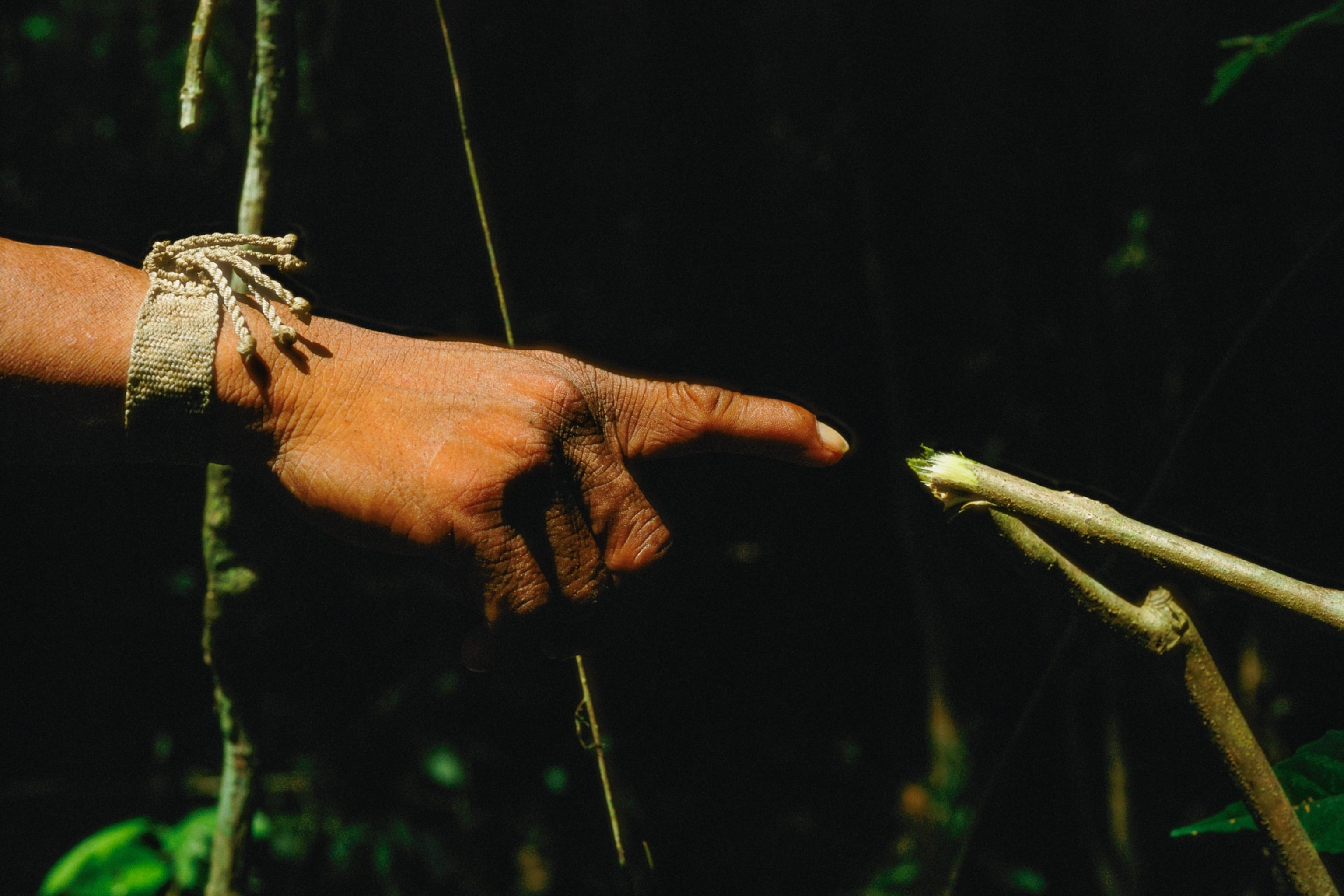 16 years ago, they nearly came face-to-face with the 'Arrow People'