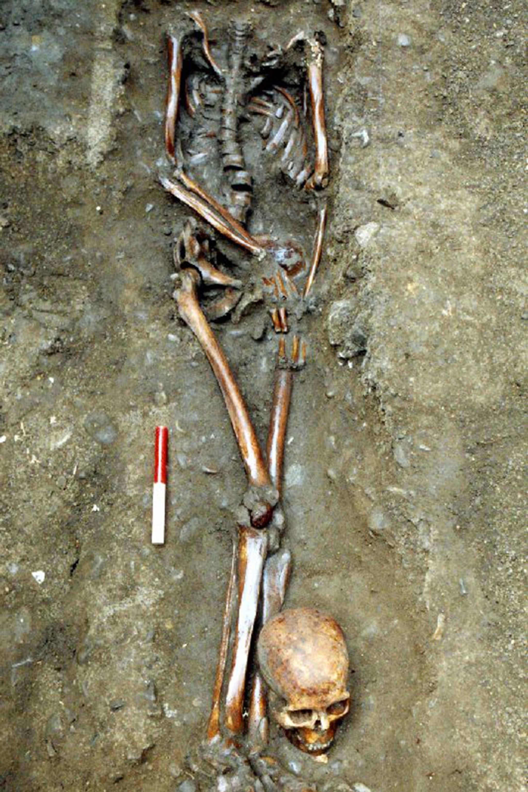 DNA Reveals Far-Off Origins of Ancient 'Gladiators'