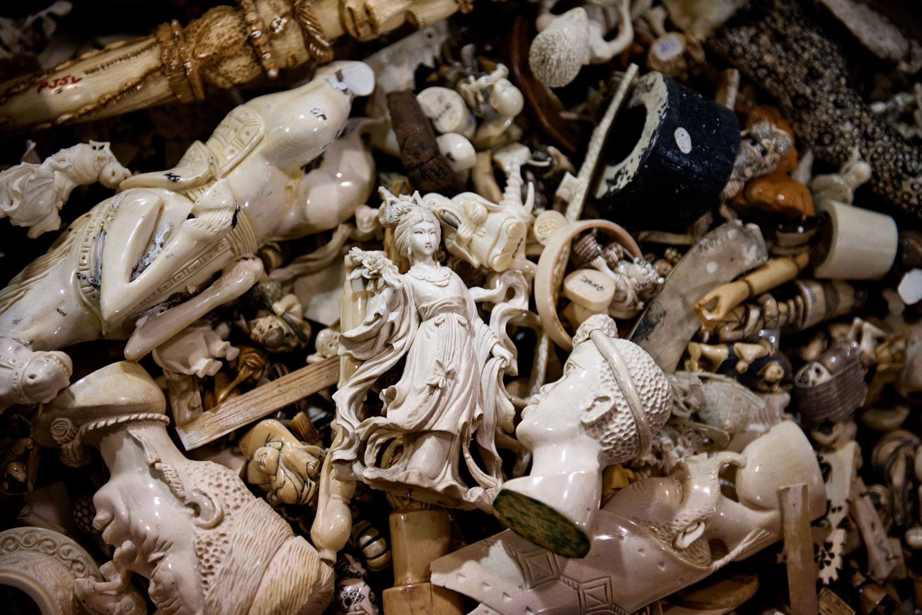 A Legal Trade in Ivory Would Wipe Out Elephants, Study Finds