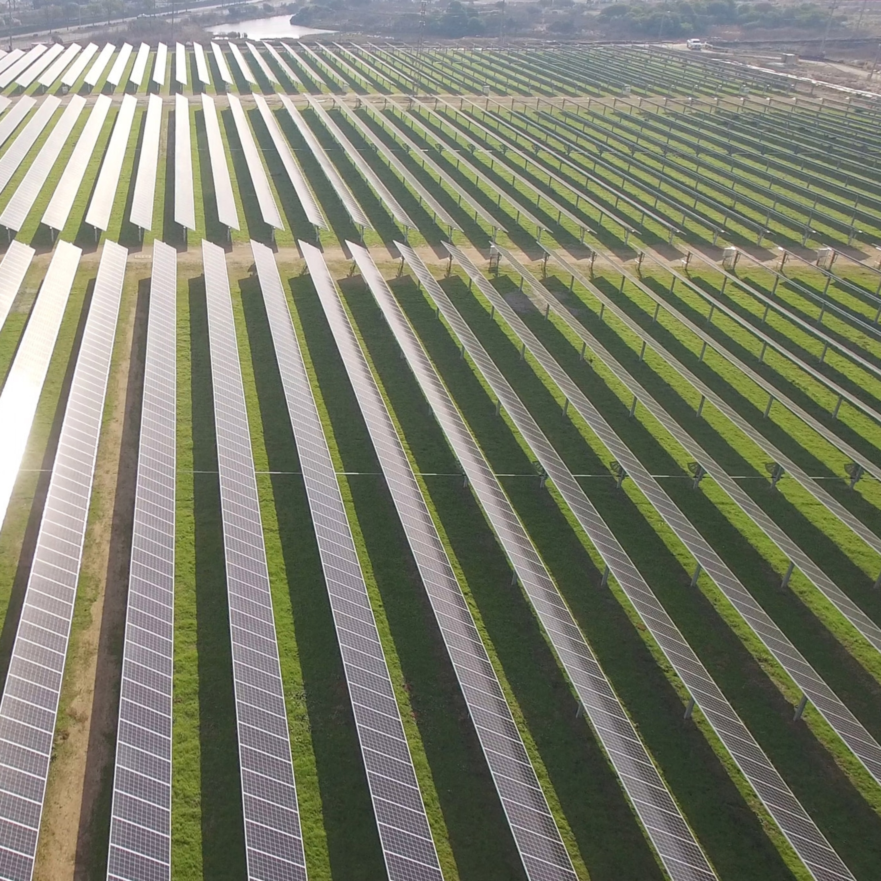 Can Egypt's Crisis Help Clean Energy Gain Traction?