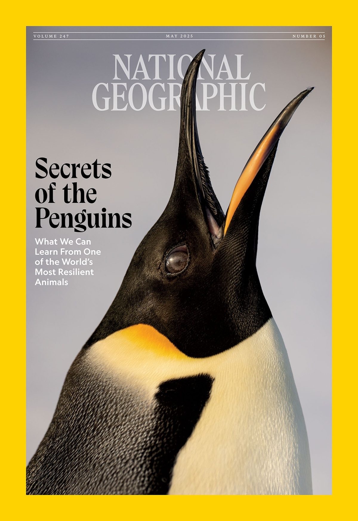 May 2025 Issue | National Geographic