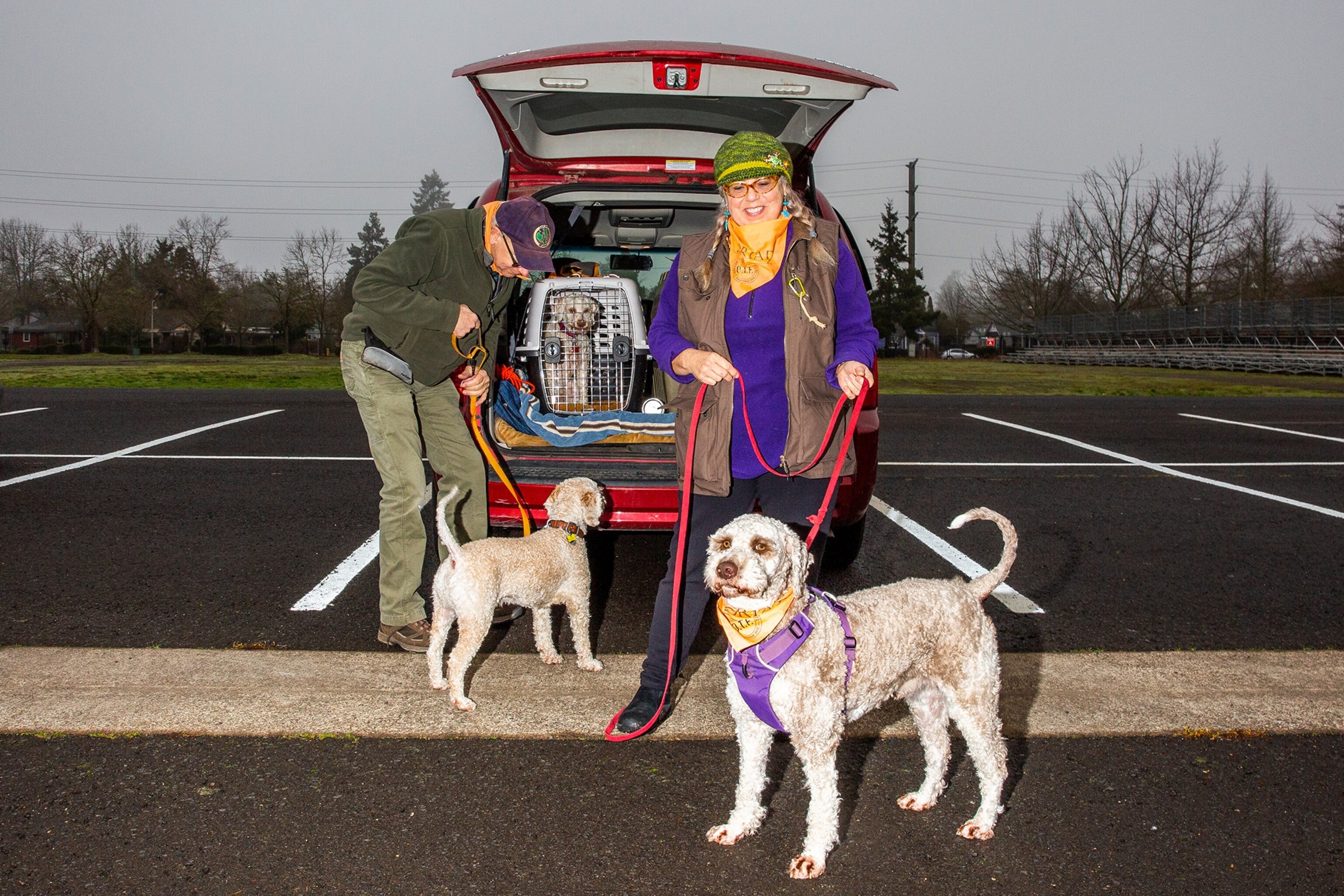 Photos from behind the scenes of Oregon's truffle dog competition