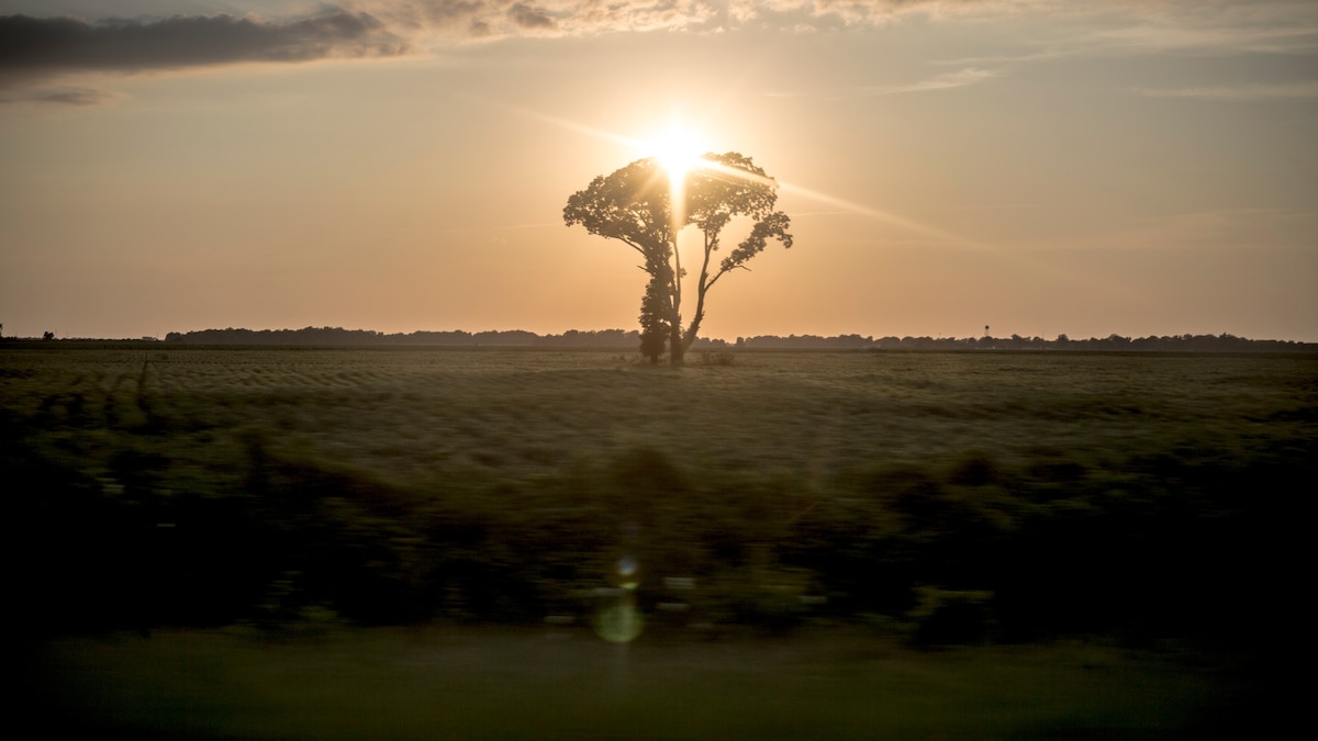 What the Mississippi Delta teaches me about home—and hope | National ...