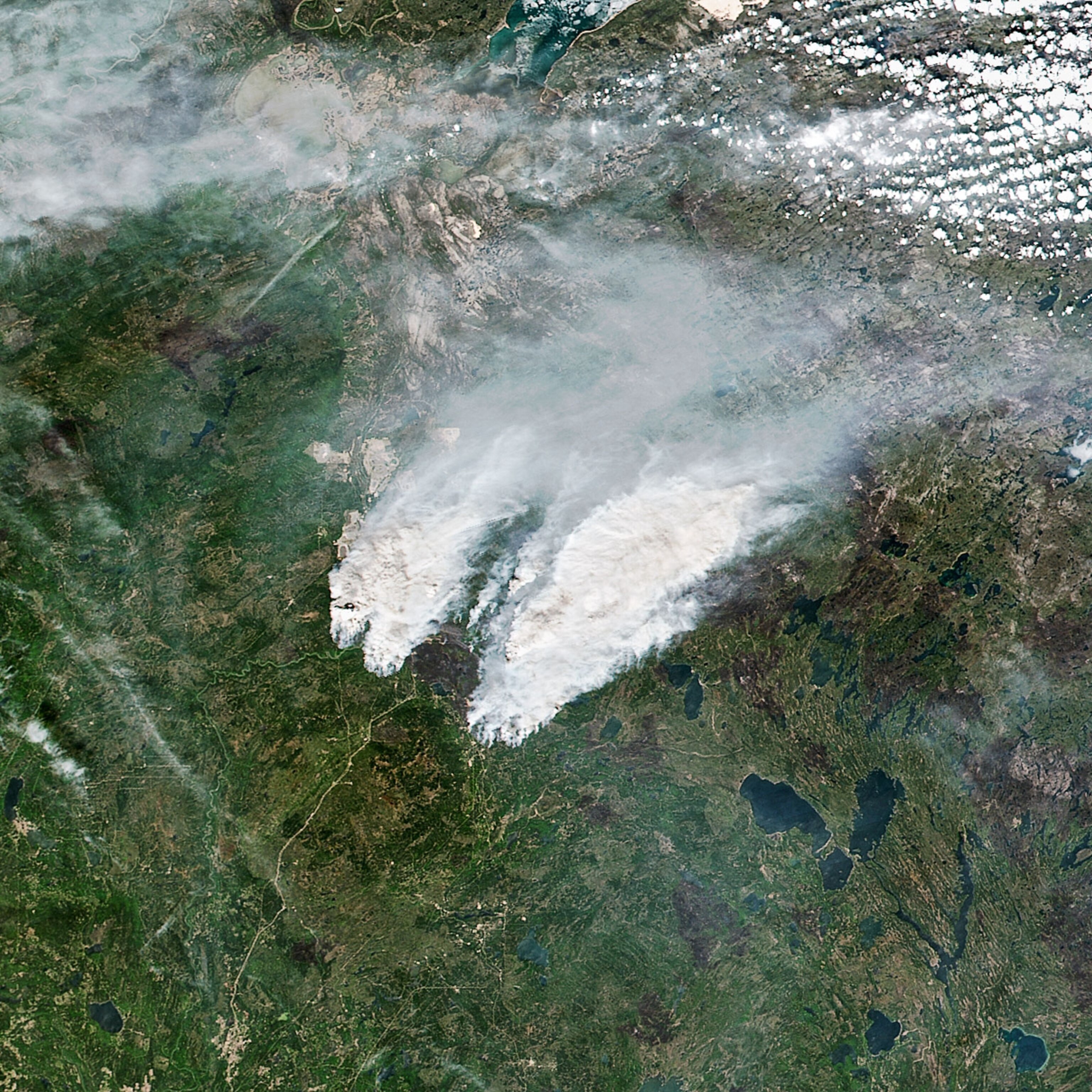 This Scary Nasa Map Shows How The Worlds Forests Are