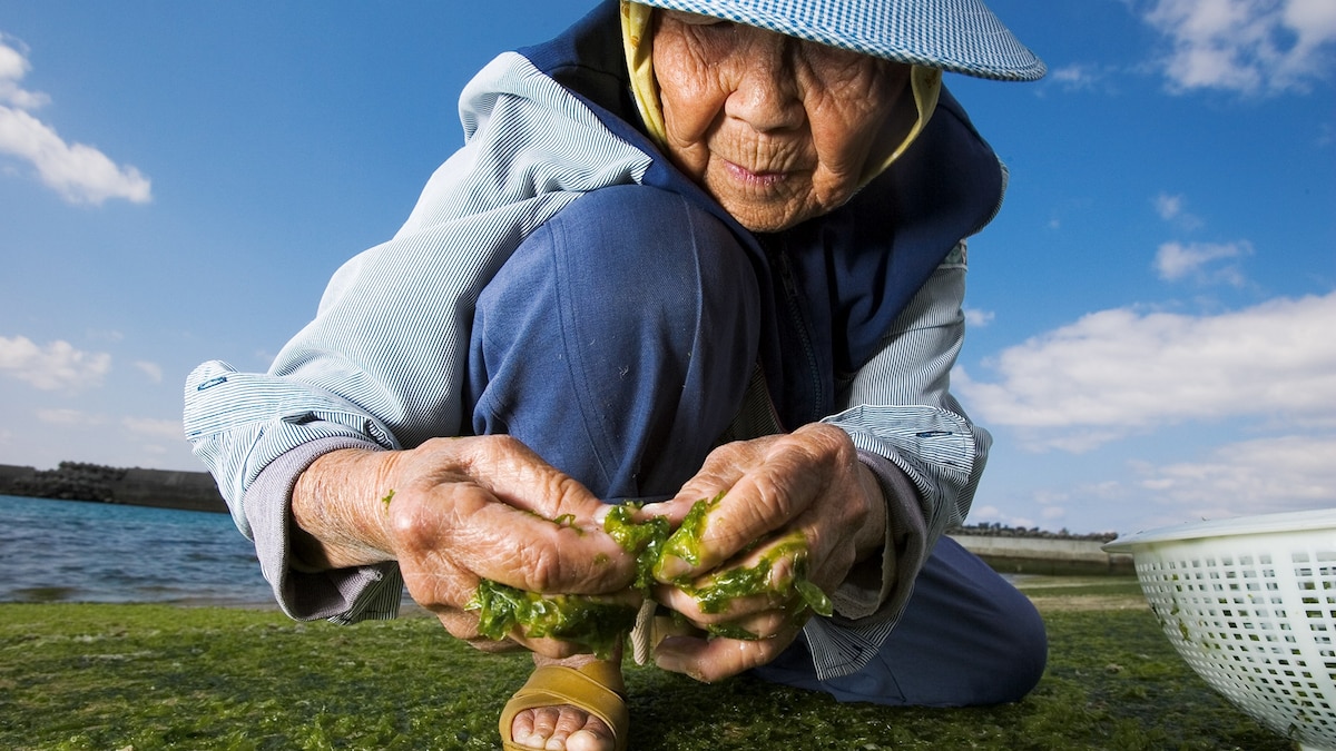 Book Talk Discusses Link Between Blue Zones, Health, Diet and Longevity ...
