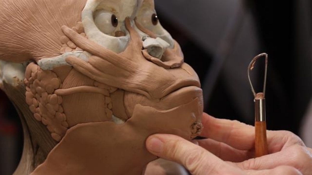 Meet the Man Who Gives Ancient Human Ancestors Their Faces | National ...