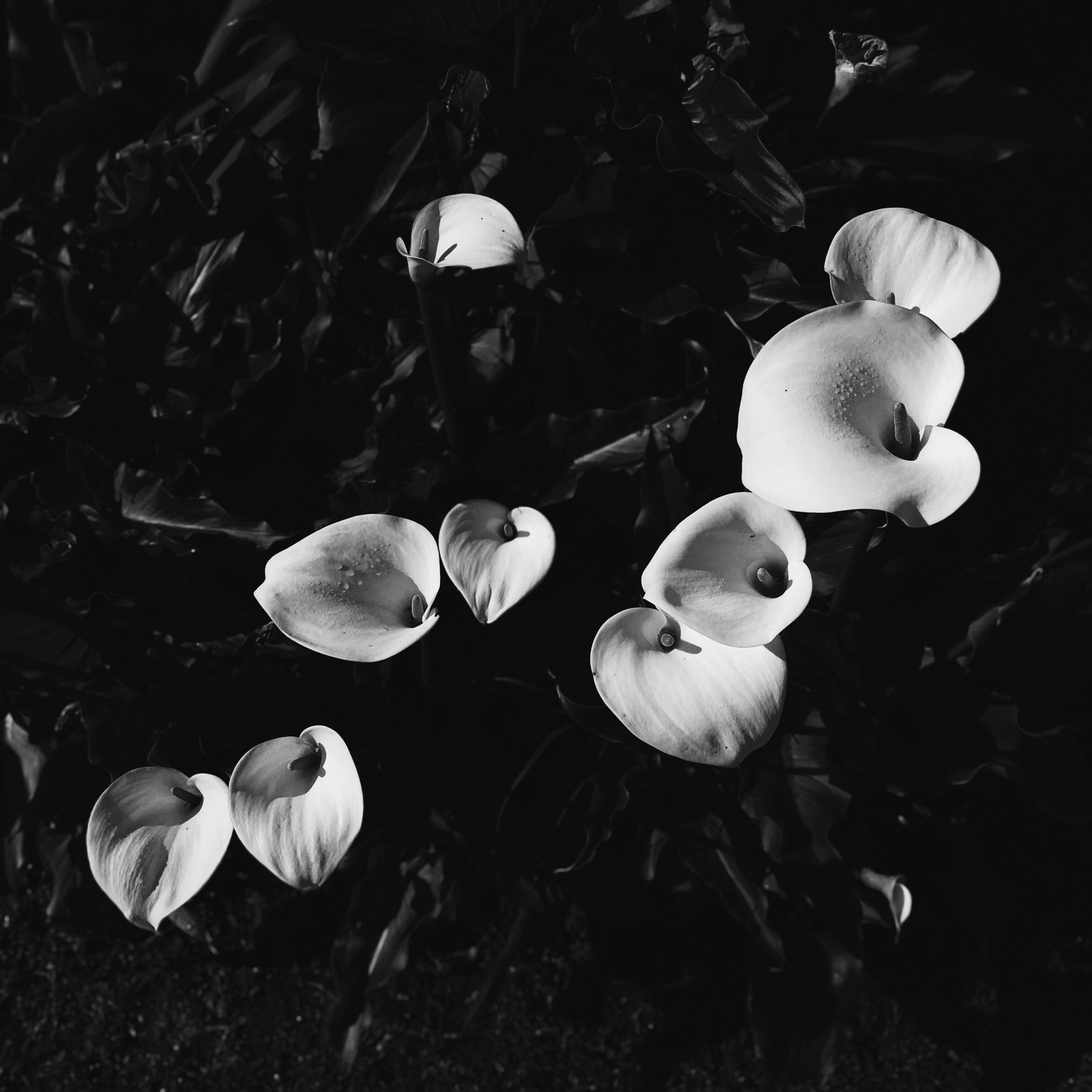 'To grow a life in such dark times felt powerful'