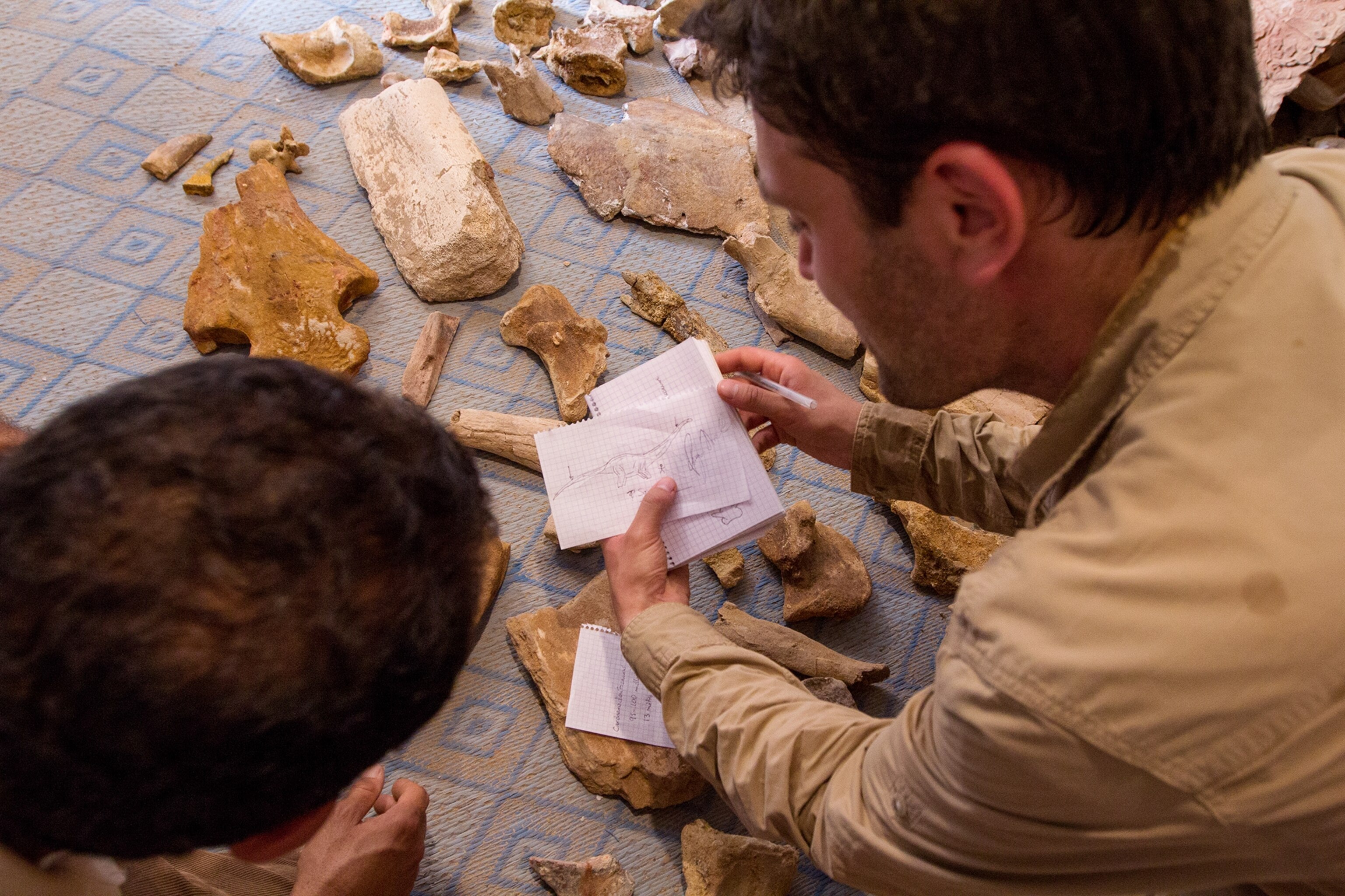 Paleontologist Finds Dinosaur Paradise, Including First Dino Known to Swim