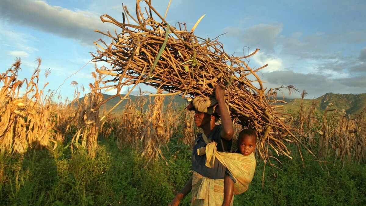 Trip Lit: The Lower River-- National Geographic Traveler | National ...