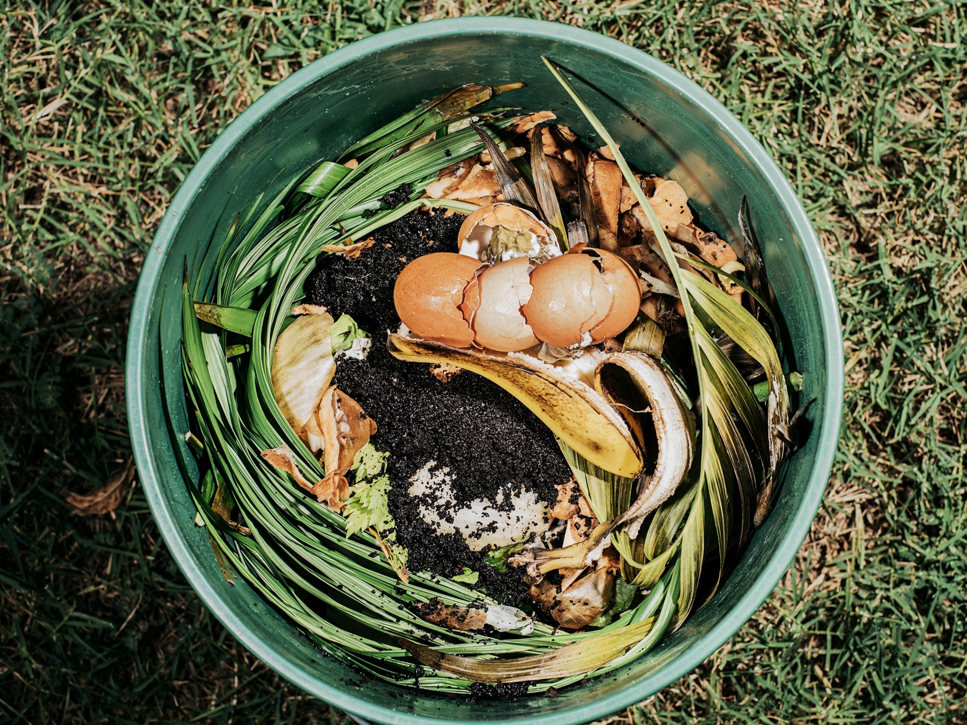 Surprising Ways to Solve Food Waste
