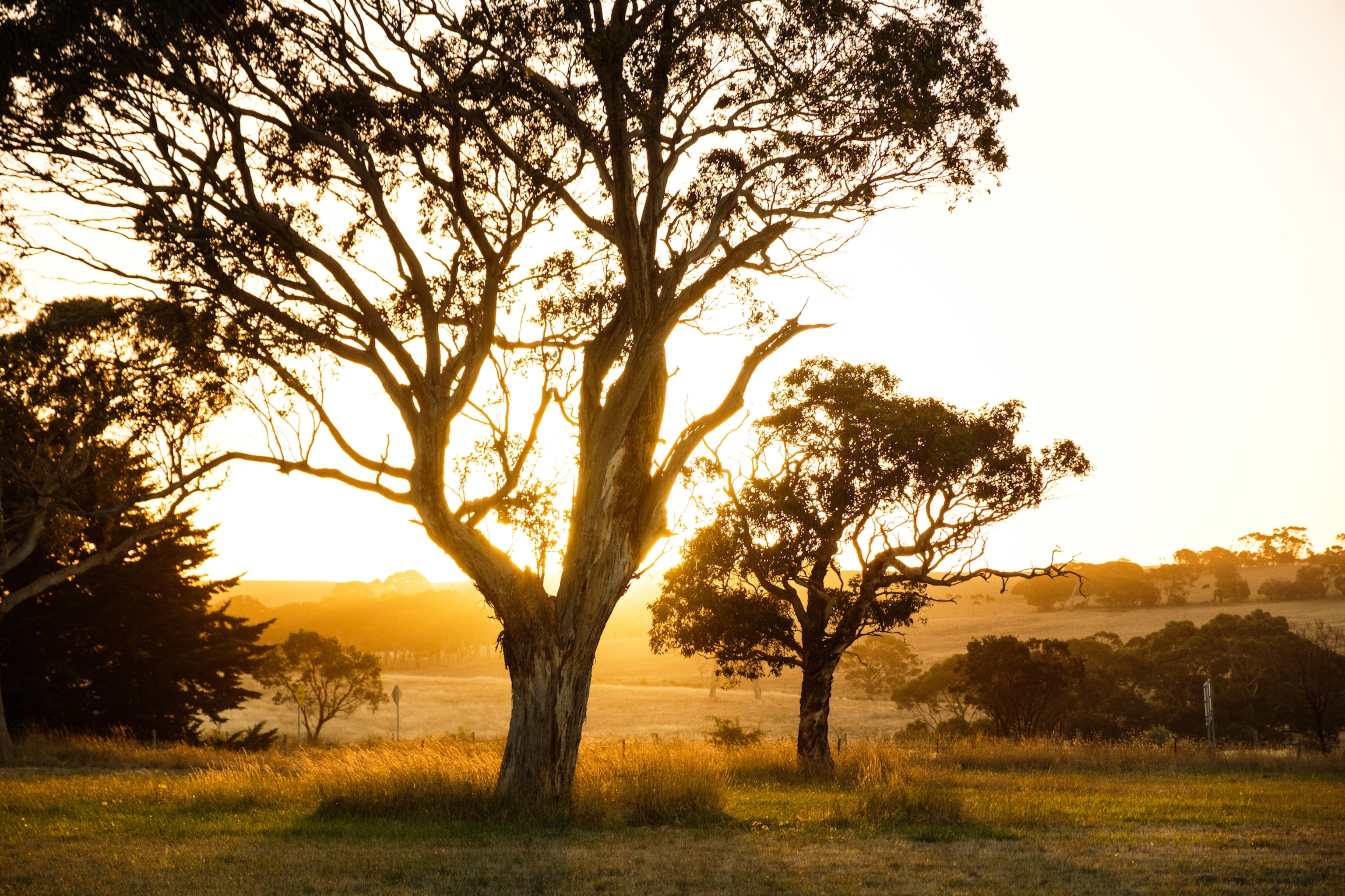 Exploring South Australia’s Capital and Wine Country | National Geographic