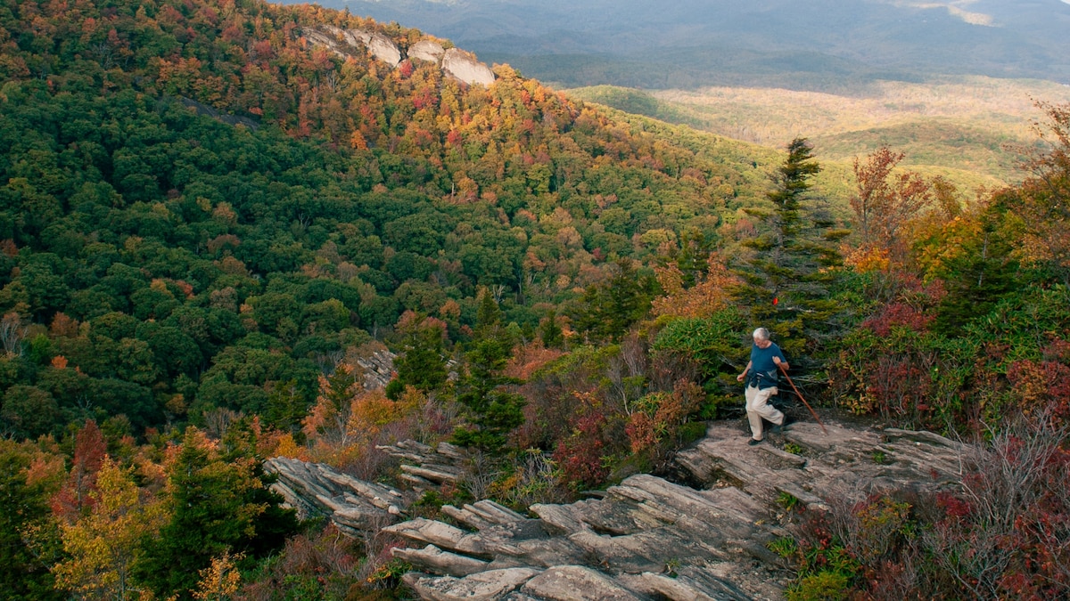 9 places to see fall foliage in the U.S.—and none are in New England ...