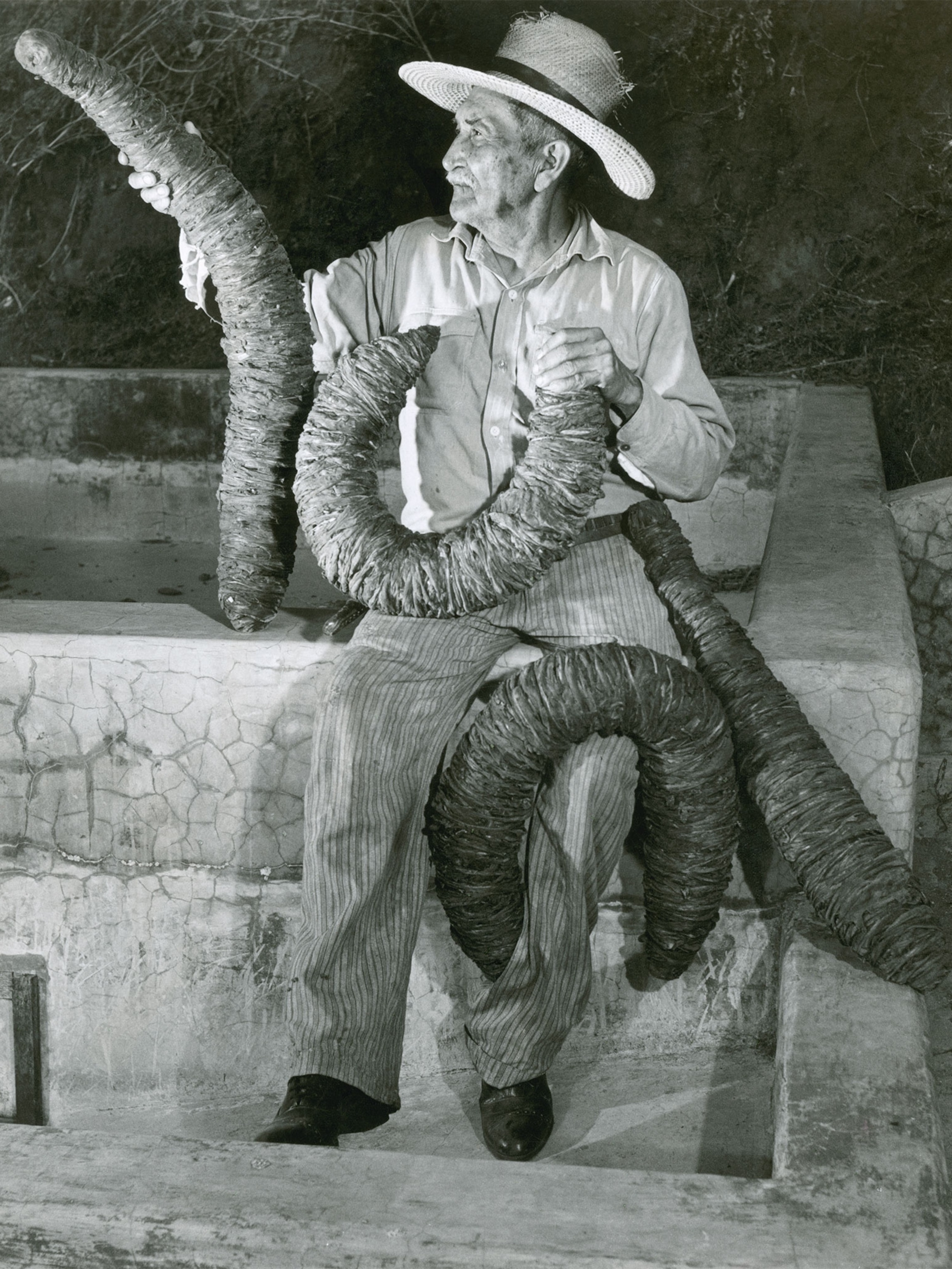 8 Vintage Pictures Show the Global History of Rubber