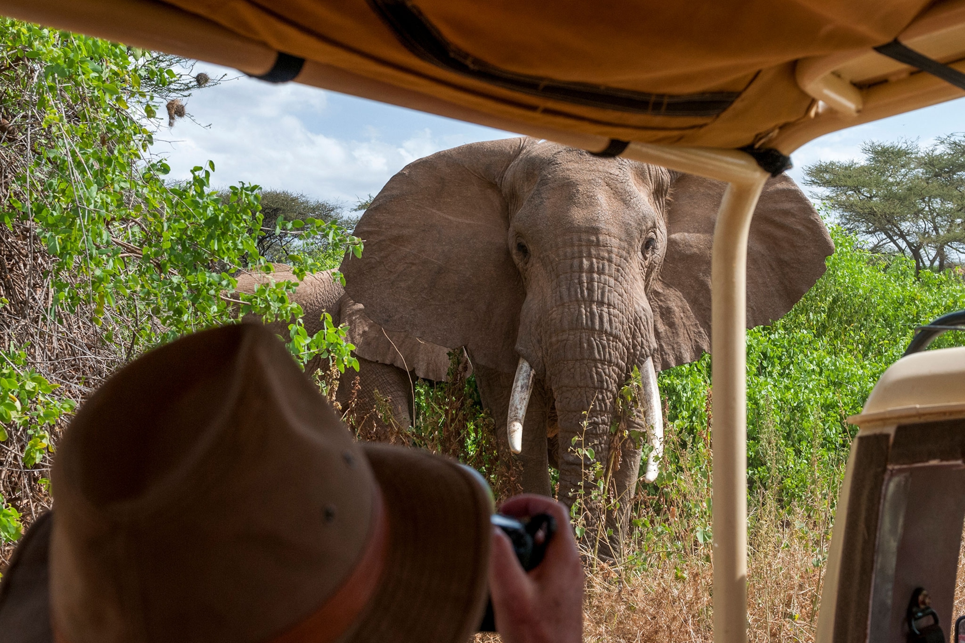 6 Tips for Better Wildlife Encounters