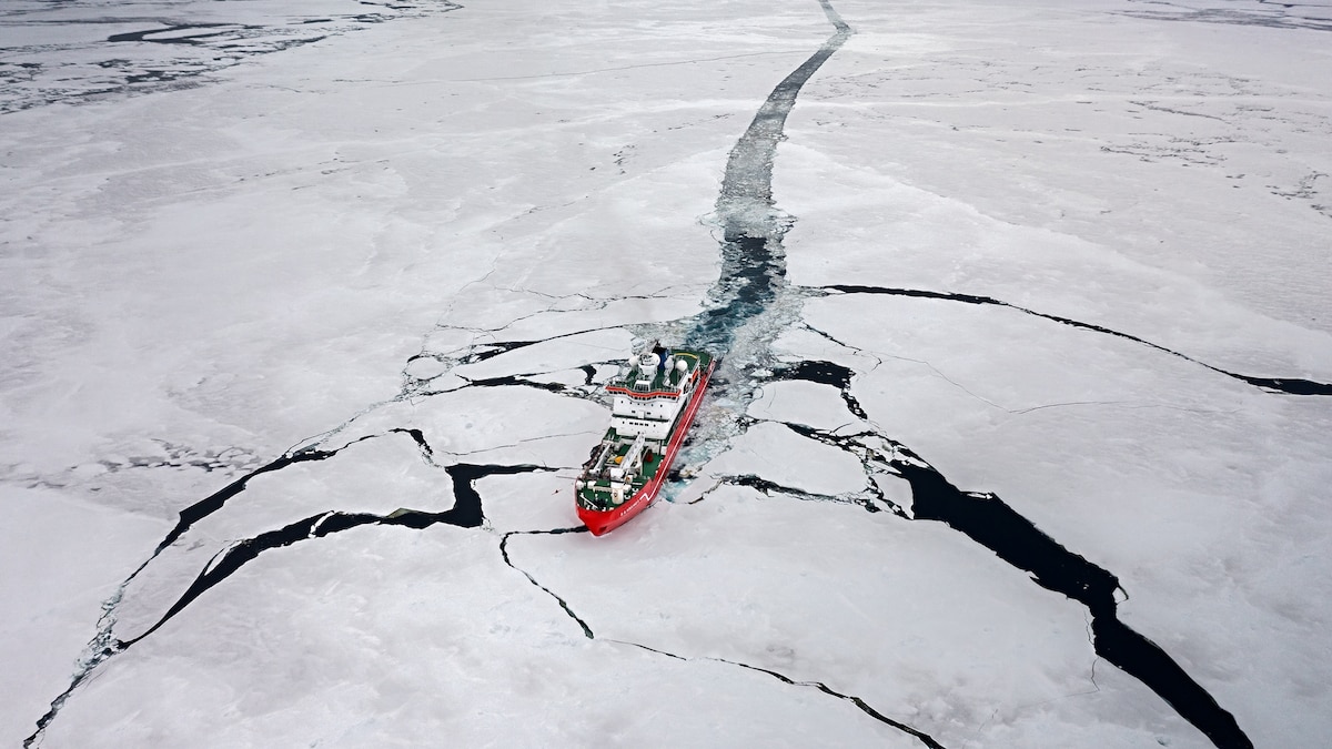 Documentary, "Shackleton's Captain" 90 minutes well spent | The FAL Files