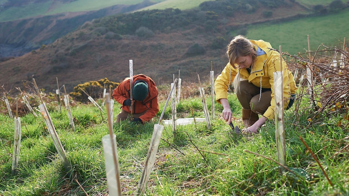 How people-powered conservation is helping to revive the UK's national ...