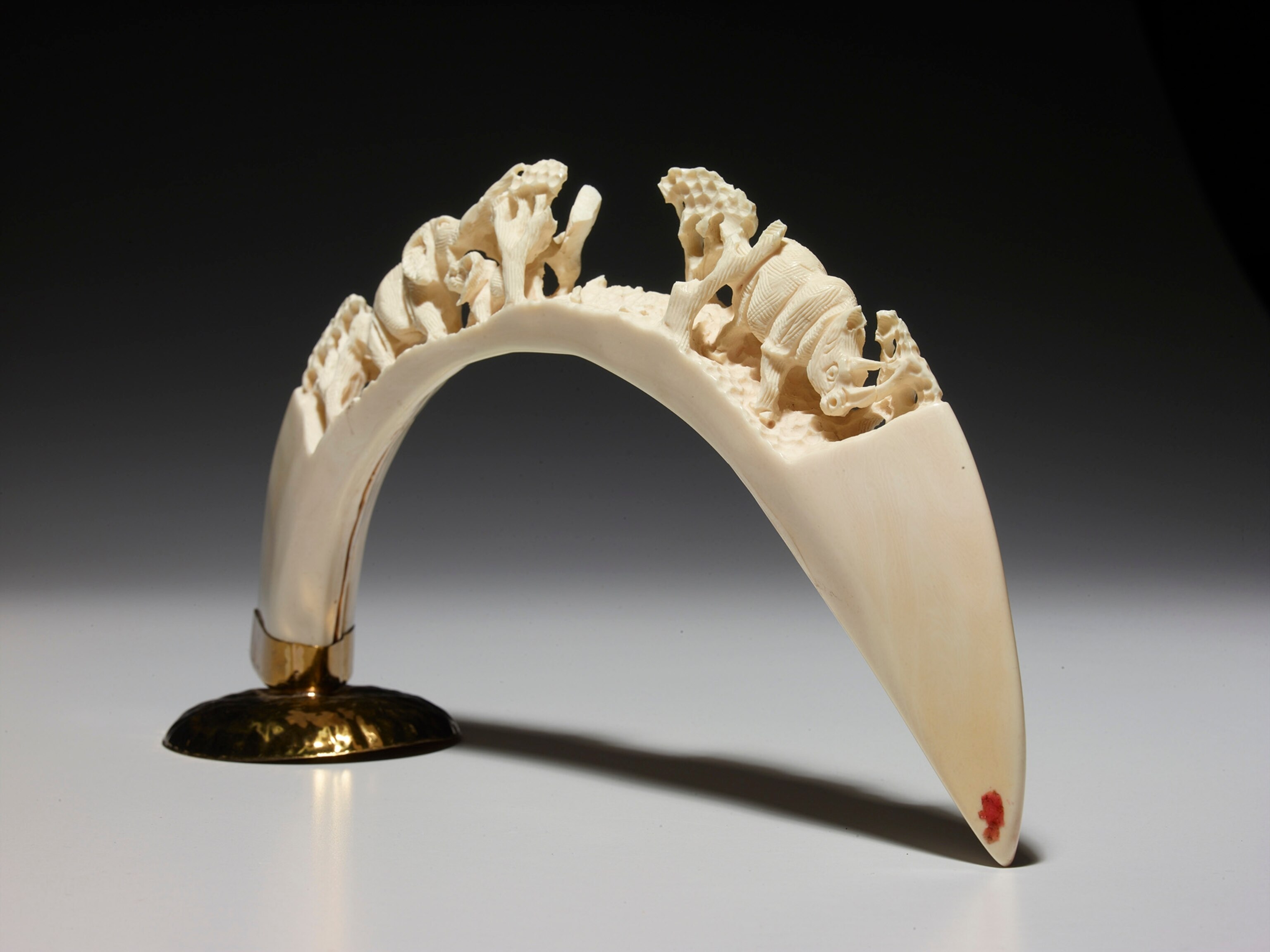 Fighting the Underground Trade in Hippo Teeth