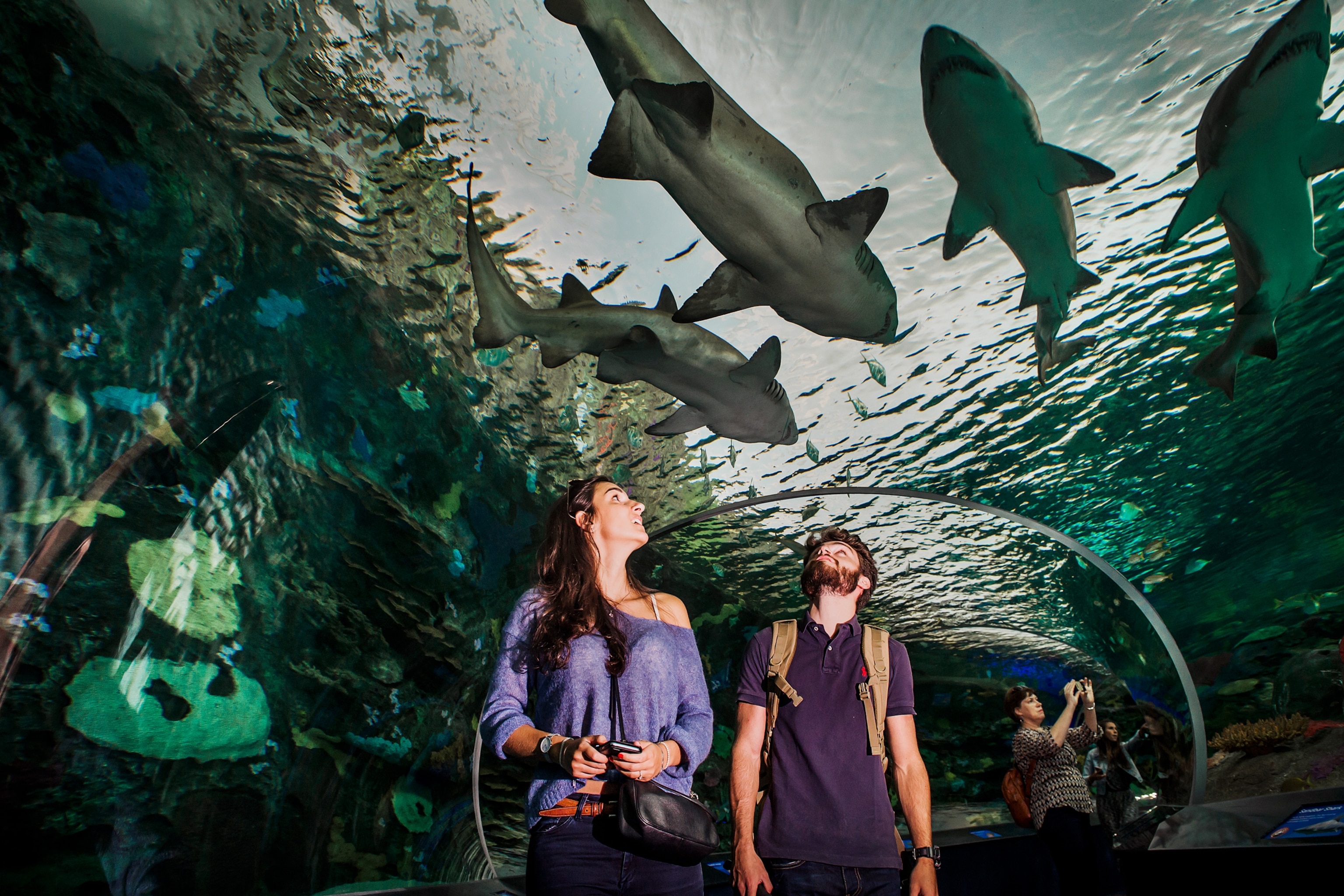 Irresistible Toronto, Canada