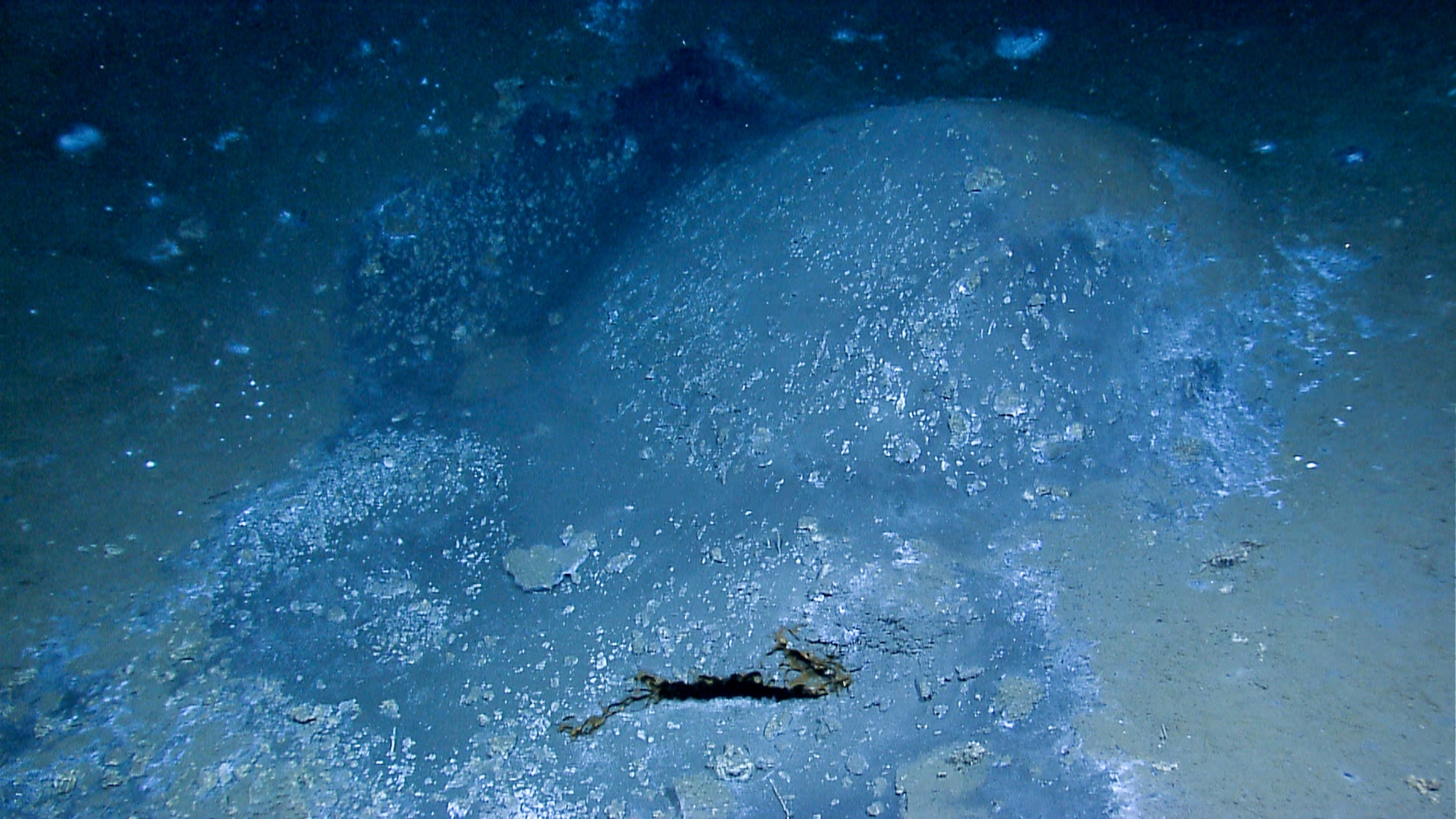 Pictures: Unlocking Icy Methane Hydrates, Largest Fossil Energy Store