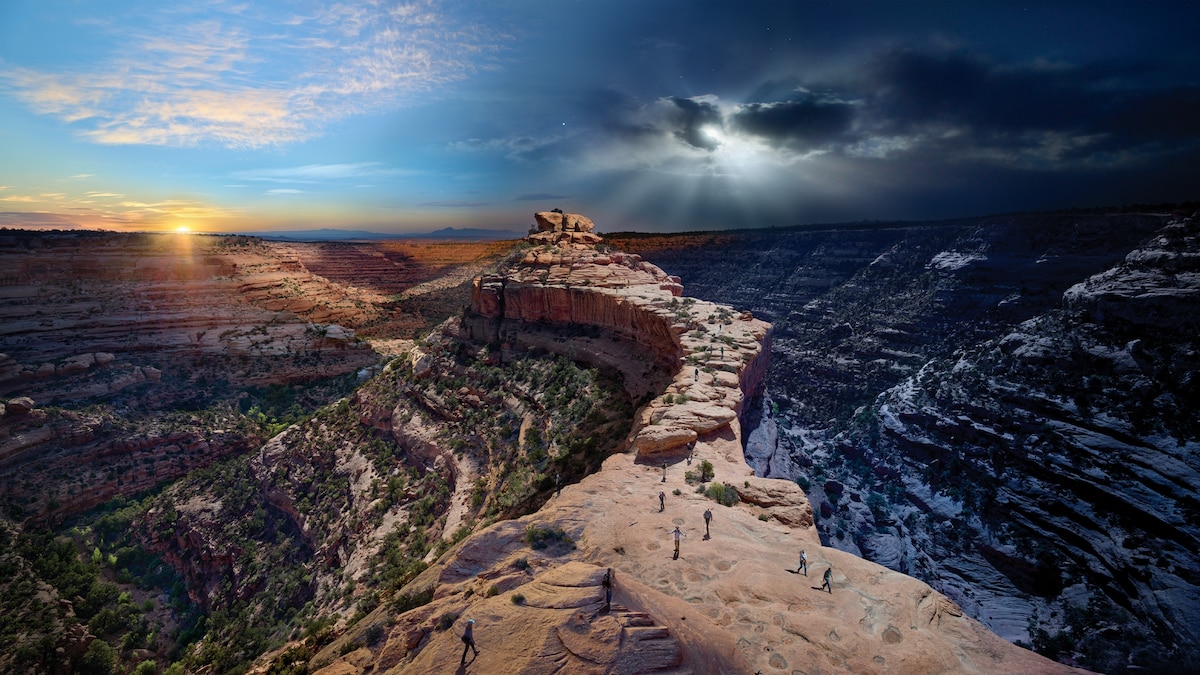 In a warming climate, we need to radically rethink how we conserve ...