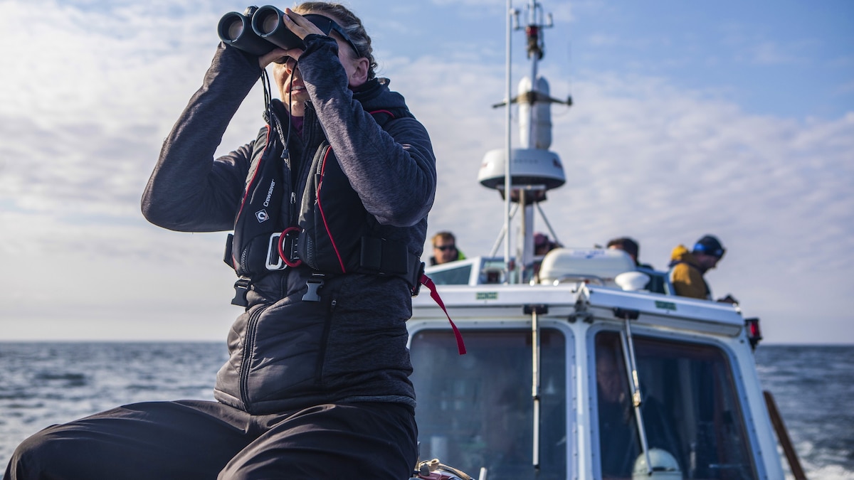 Lucy Alice Hawkes is tracking animal migration to the ends of the earth ...