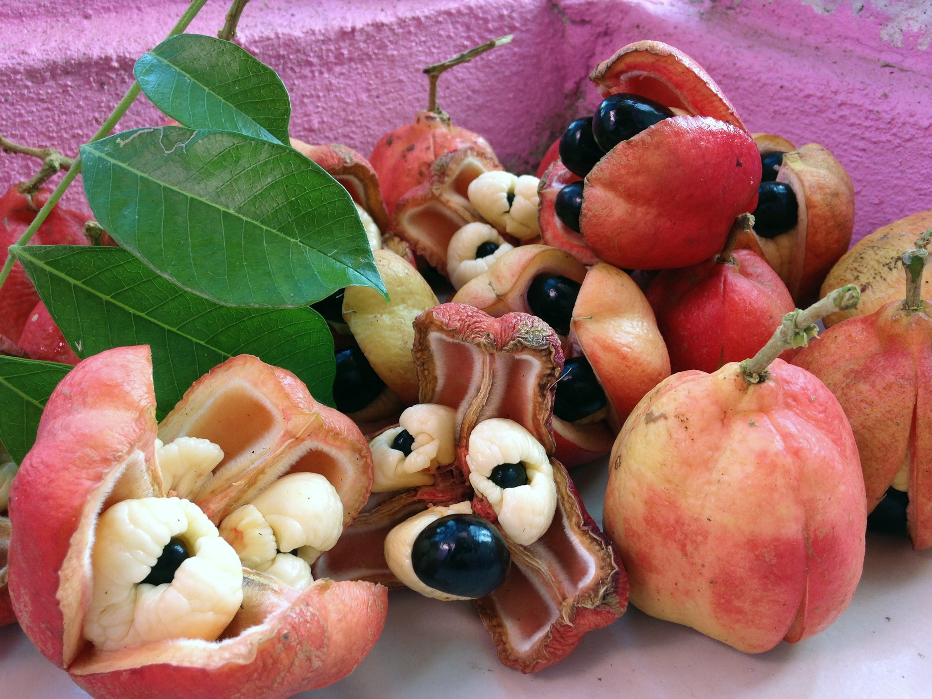 On Tiny Island Farms, Biodiversity Is A Way of Life | National Geographic