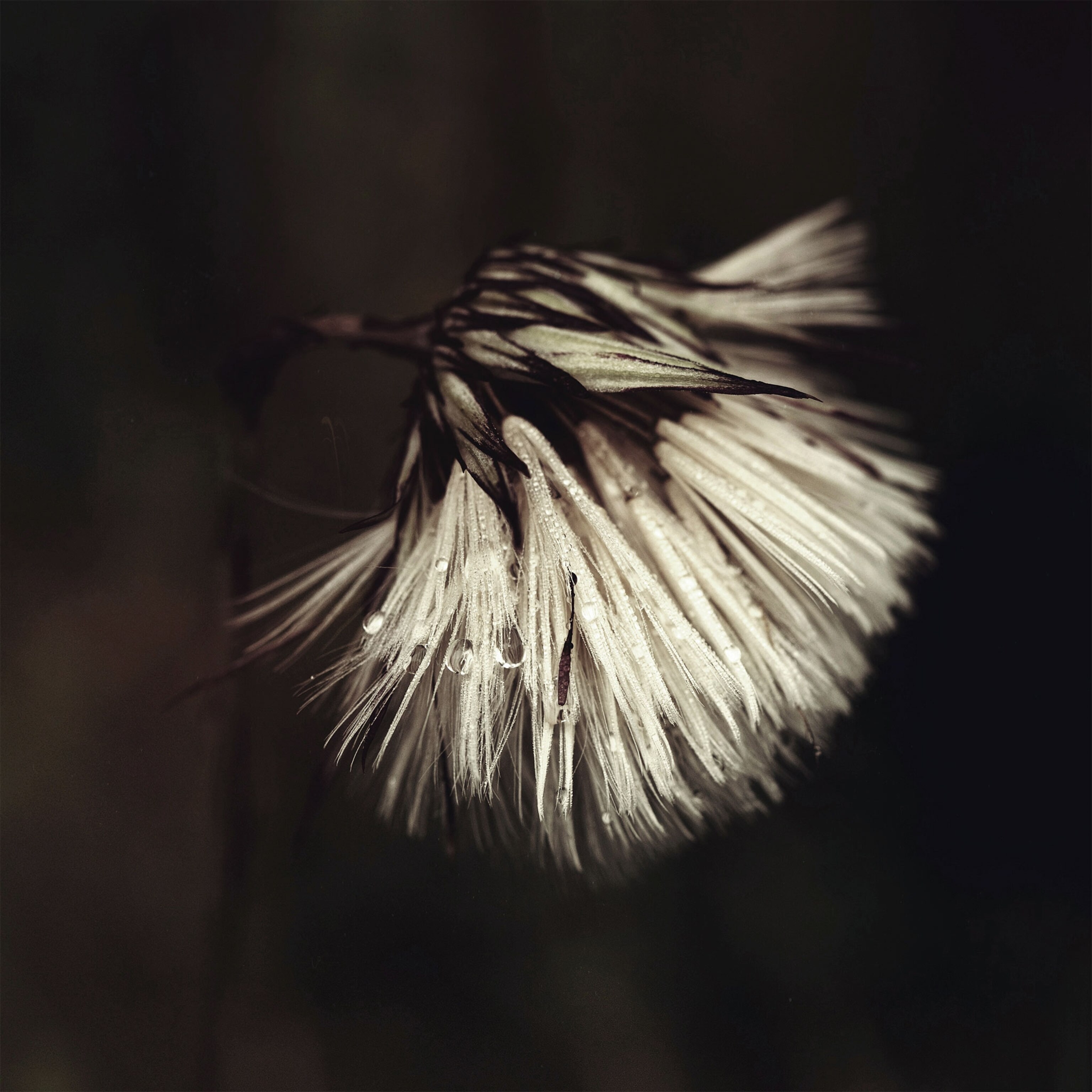 Pictures of "Forest Bathing" Show Why Nature Benefits The Body and Soul