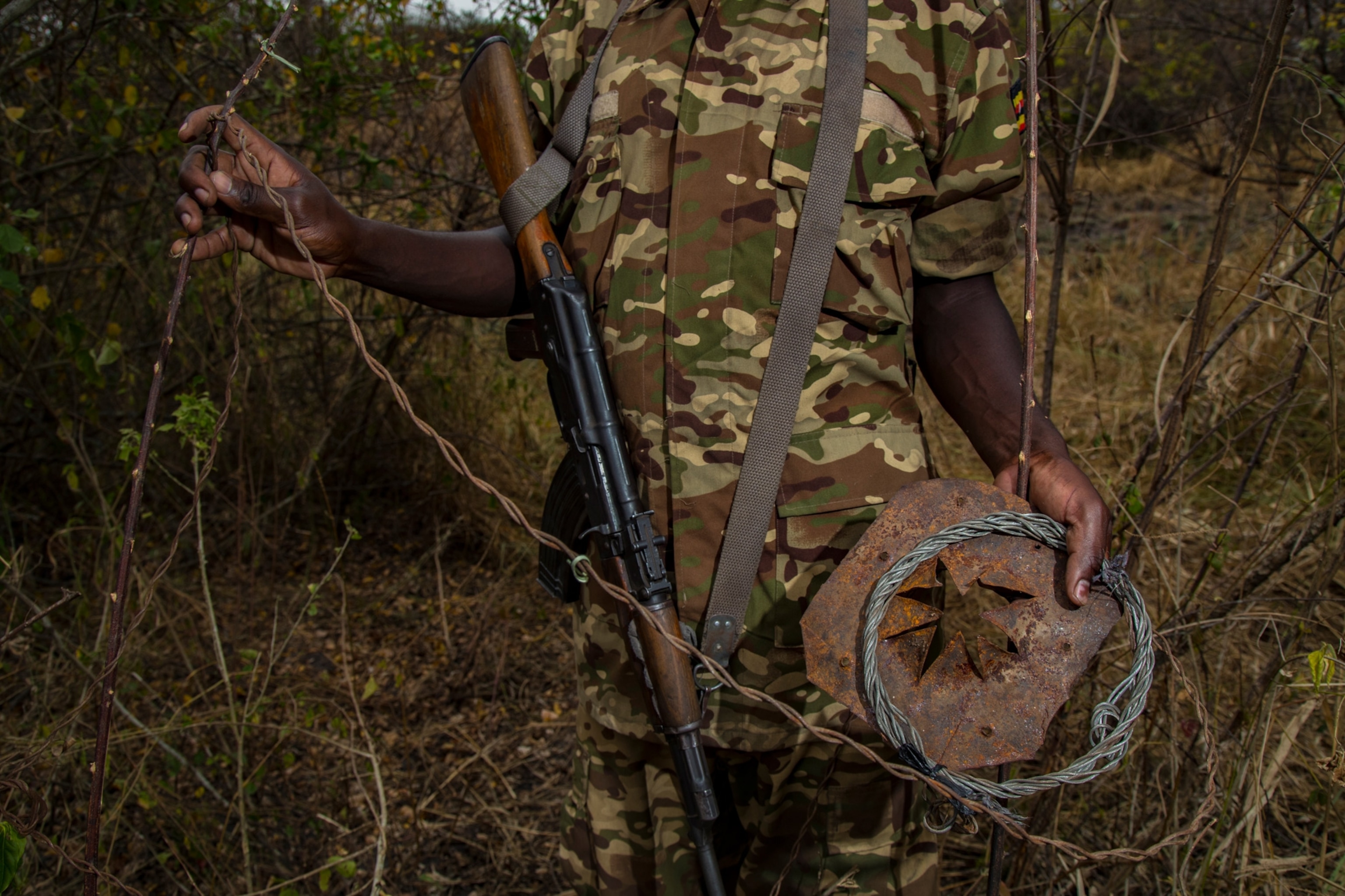 Snaring has become the greatest threat to African lions