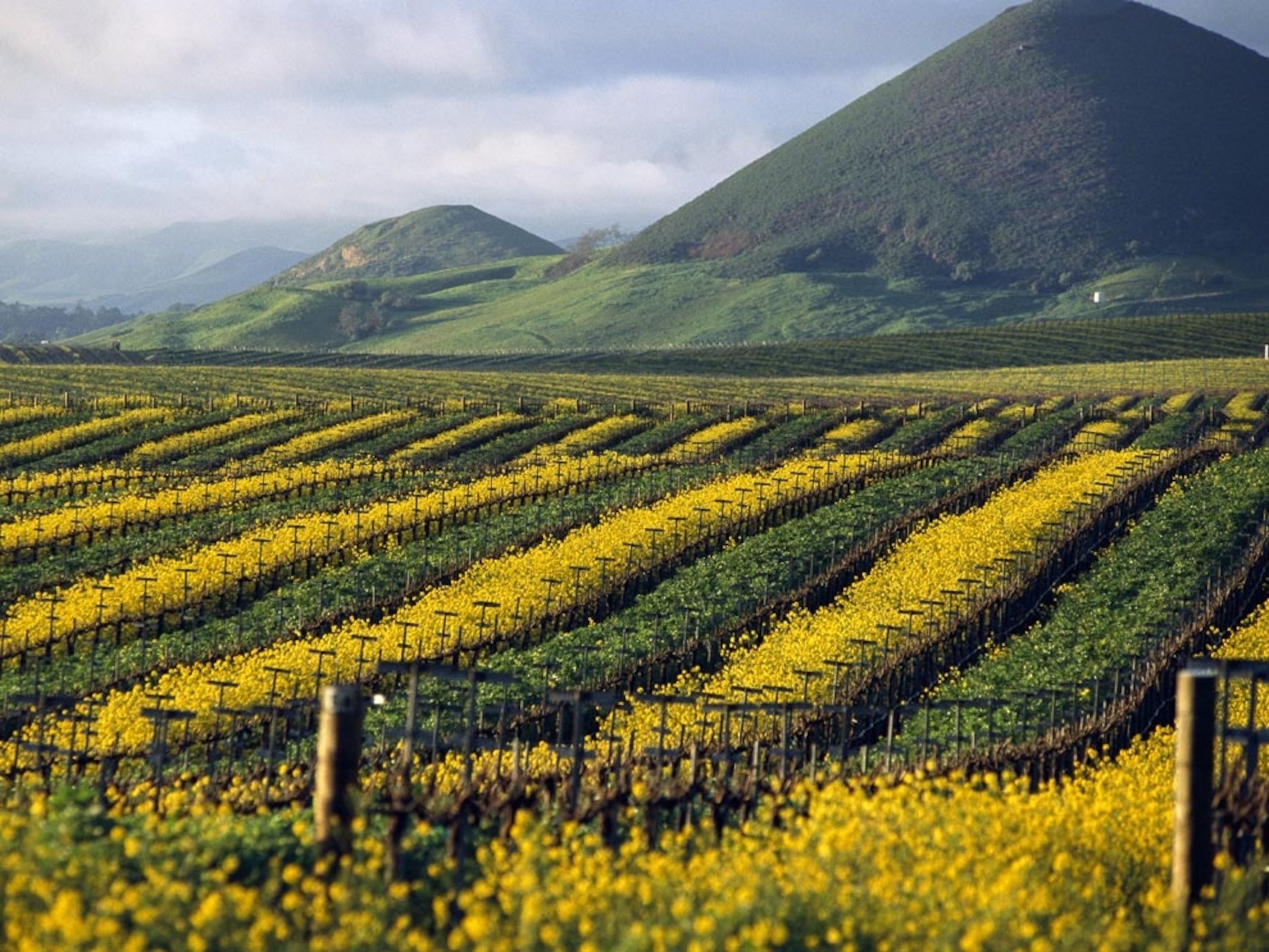 Valley Photos -- National Geographic