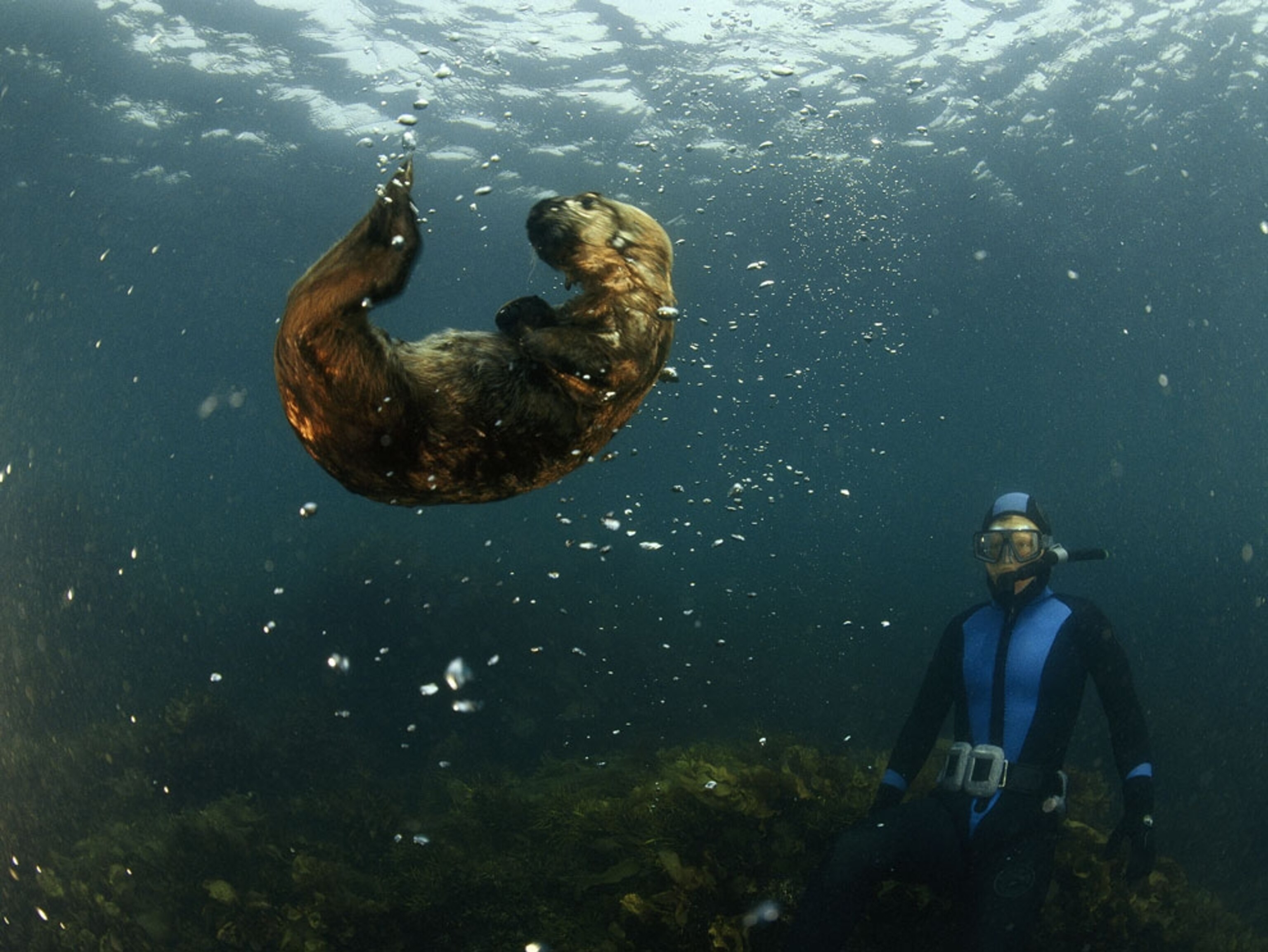 Underwater Exploration | National Geographic