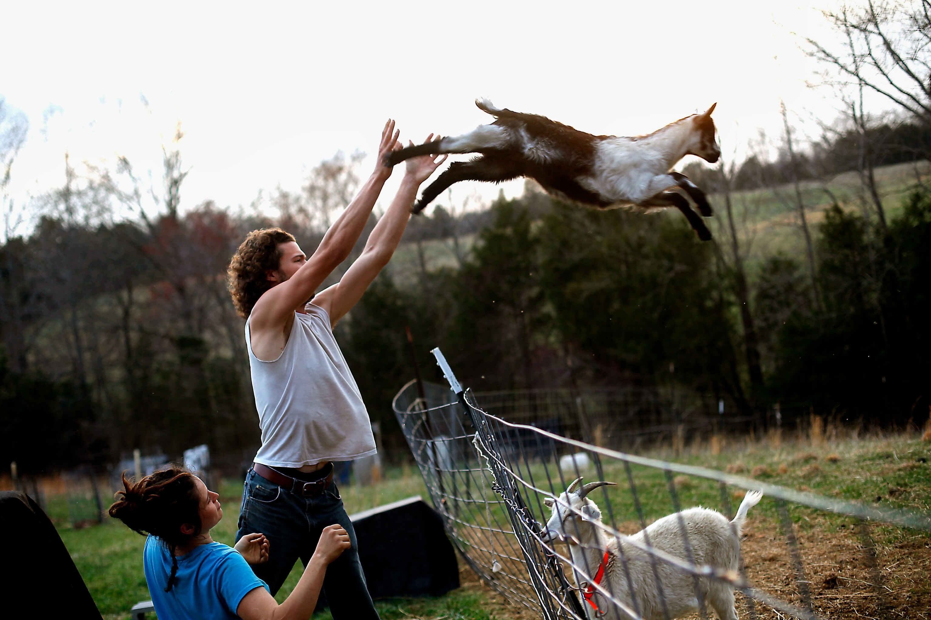 An Intimate Look Inside a Modern American Commune